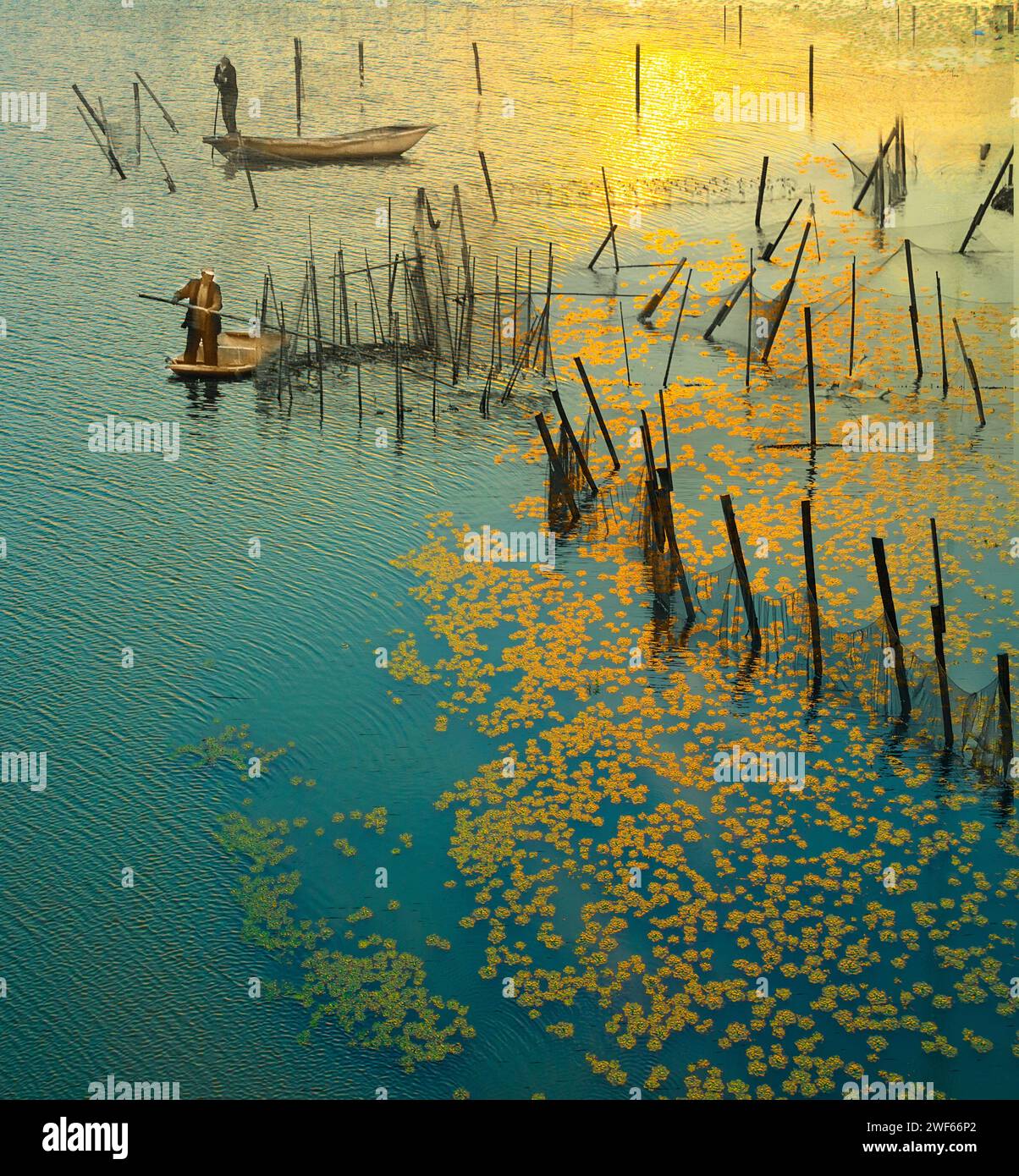 Farmers make water wealth Stock Photo - Alamy