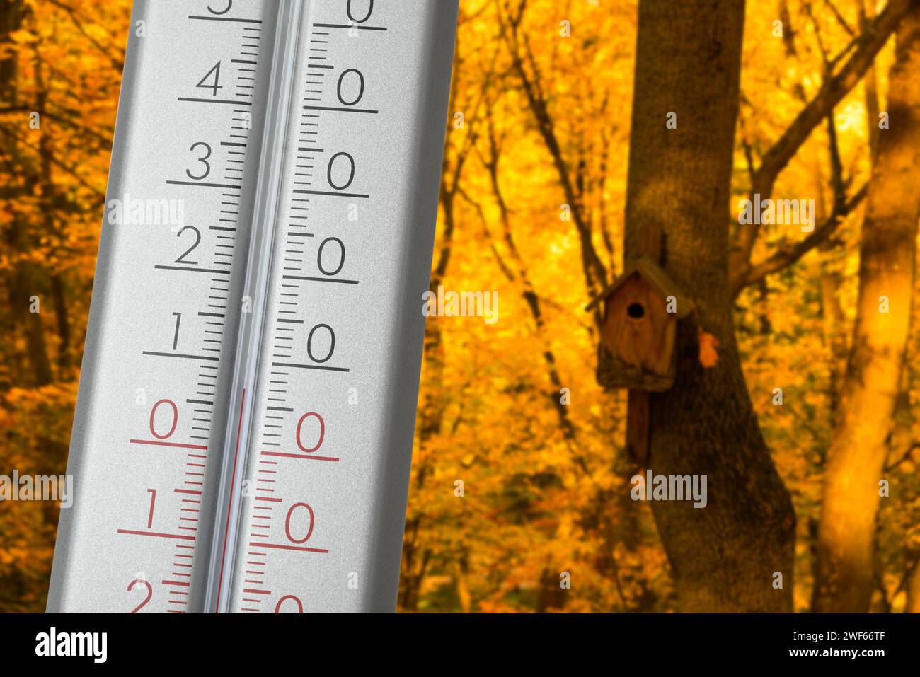 Measuring the temperature in the garden hi-res stock photography and ...