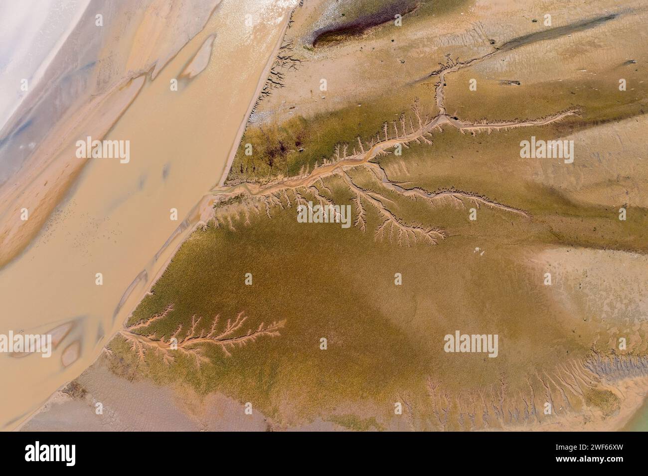 Puyang, Henan: Yellow River Water Painting Stock Photo - Alamy