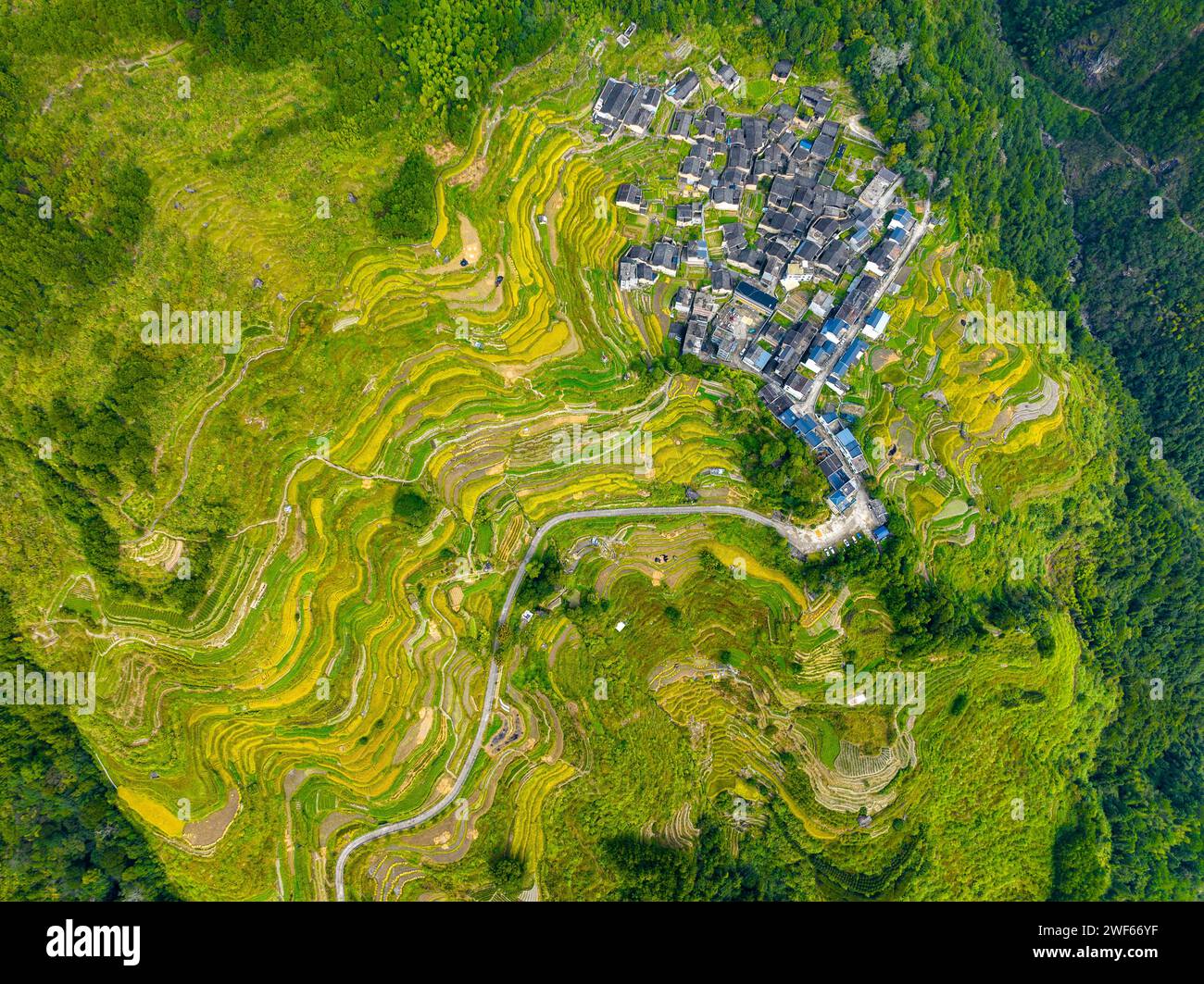 Pingnan hi-res stock photography and images - Alamy