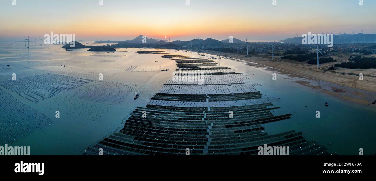 Nanri Island Seaweed Harvest Stock Photo - Alamy
