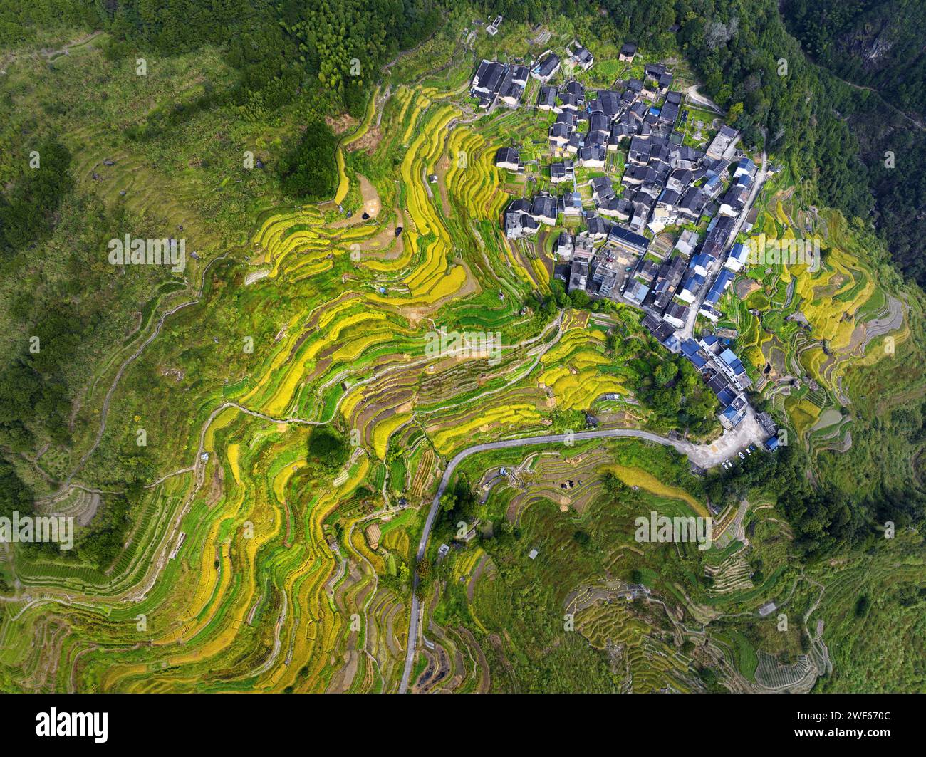 Autumn in Bailing Village, Pingnan Stock Photo - Alamy