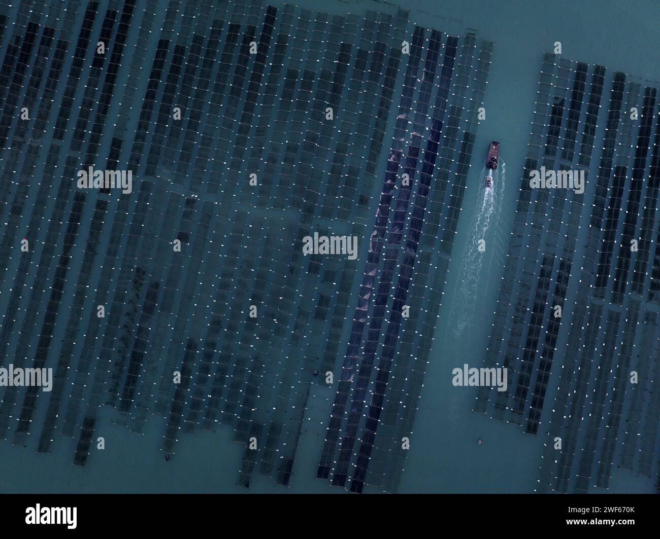 Nanri Island Seaweed Harvest Stock Photo - Alamy