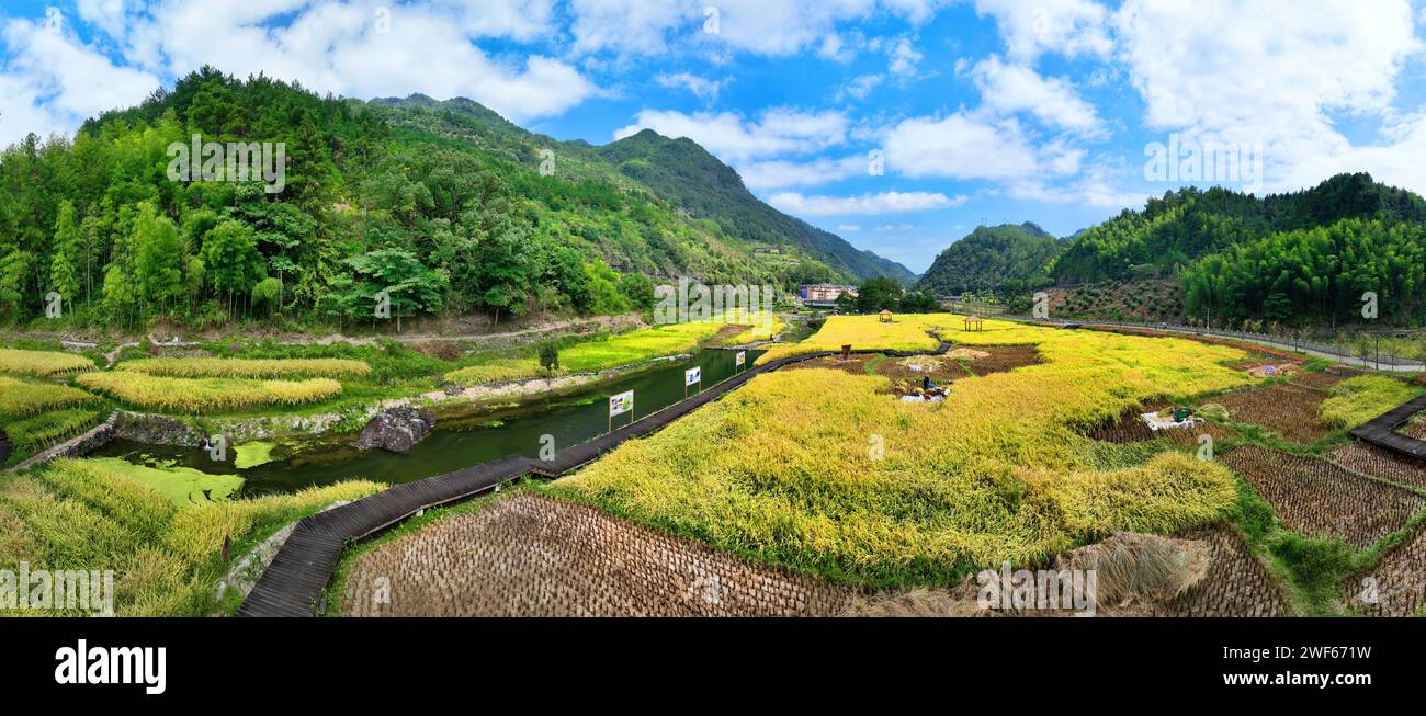 Autumn Harvest in Baiyu Village, Pingnan Stock Photo - Alamy