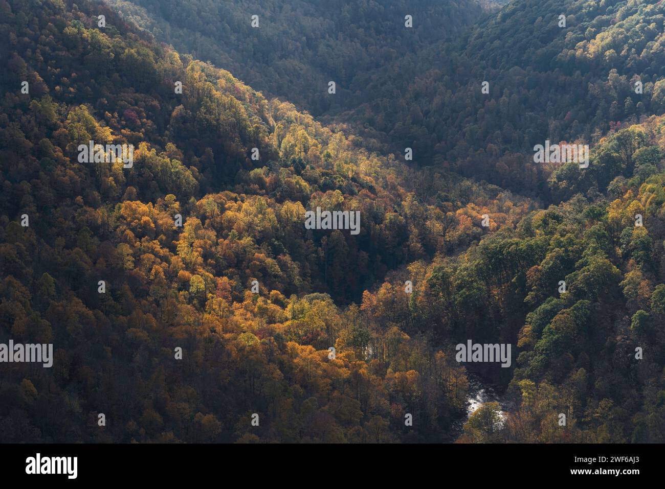 Light illuminates the Autumn colors at the bottom of the Blackwater ...