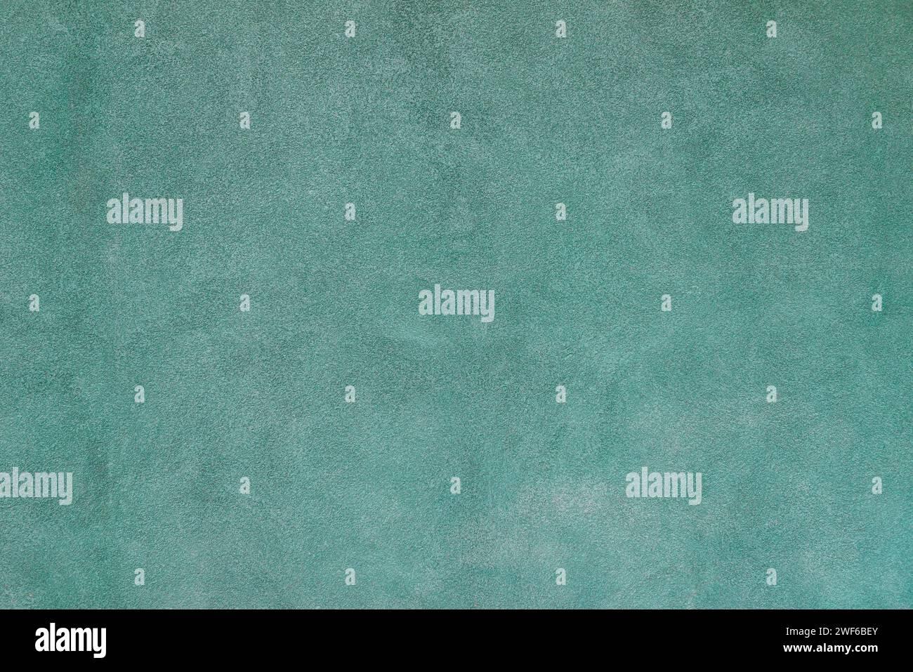 Empty plastered green cement painted plain rough surface clean wall ...