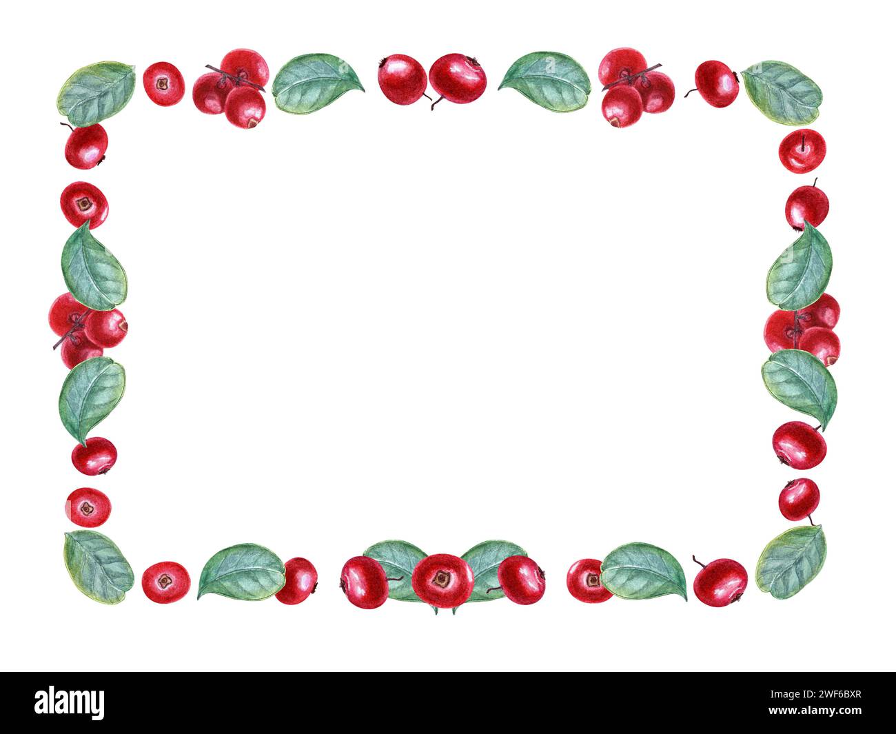 Red bes hi-res stock photography and images - Alamy