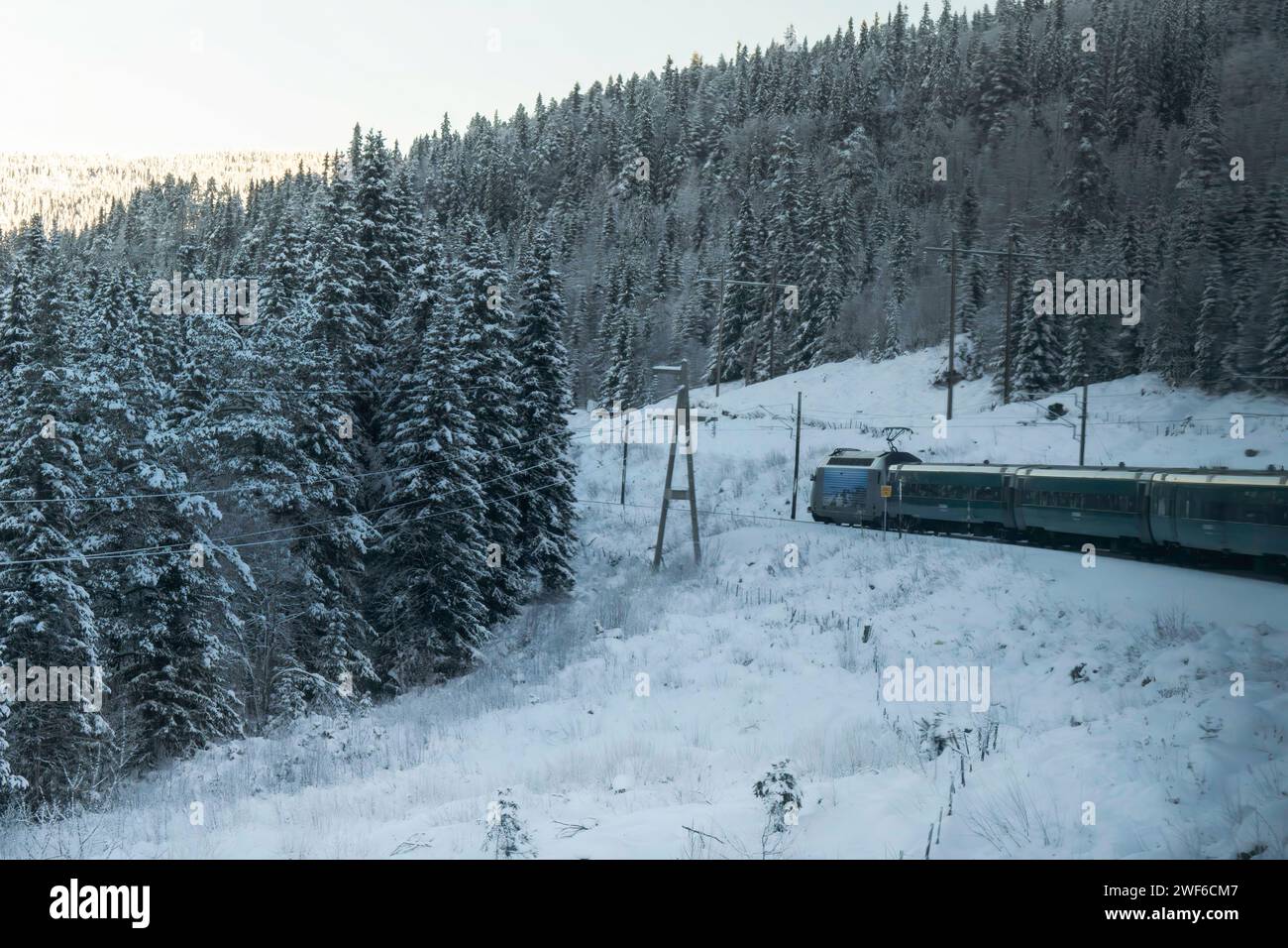 View of the train that covers the Oslo - Bergen route traveling through ...