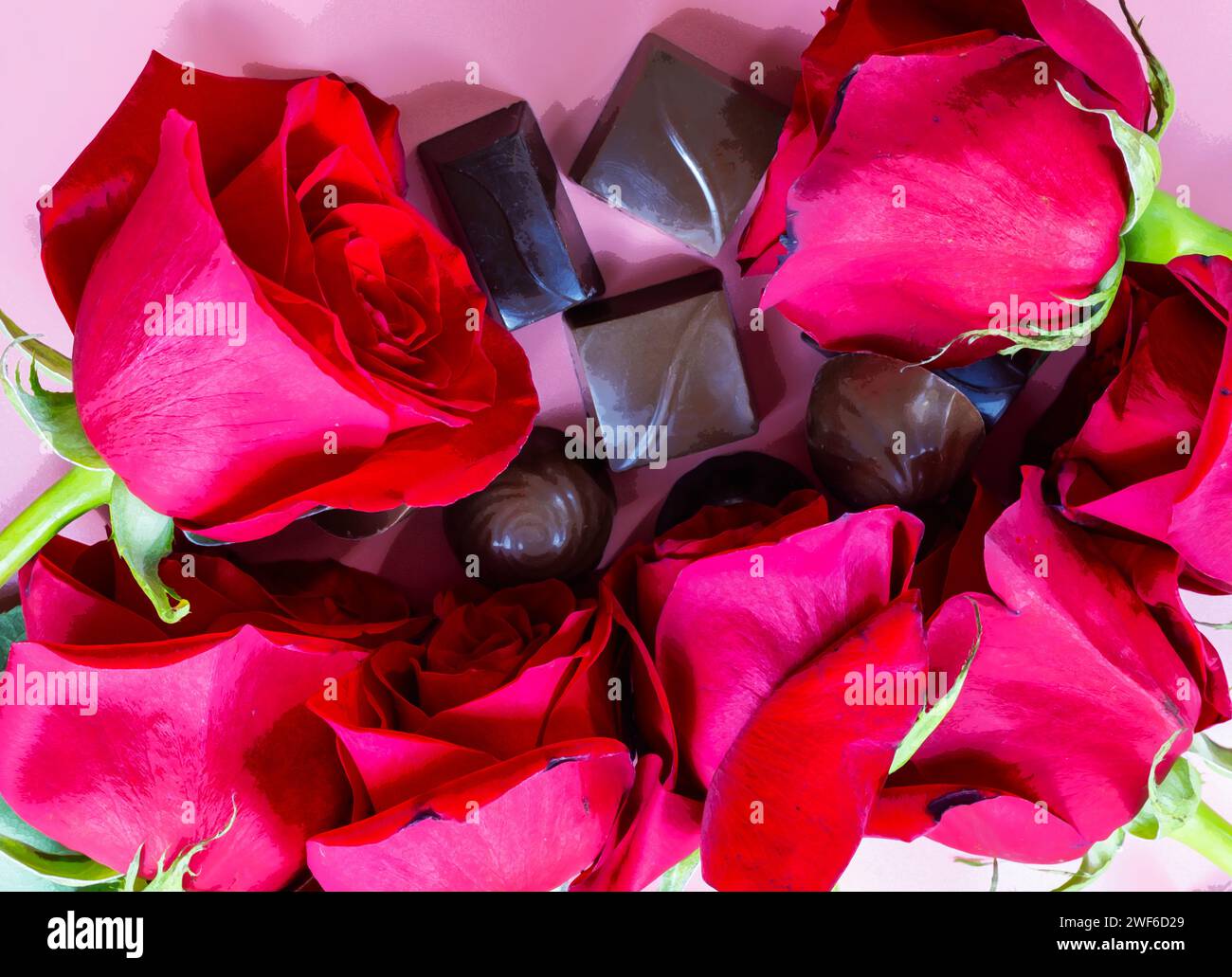 Delicious chocolate sweets and red roses on a pink background ...