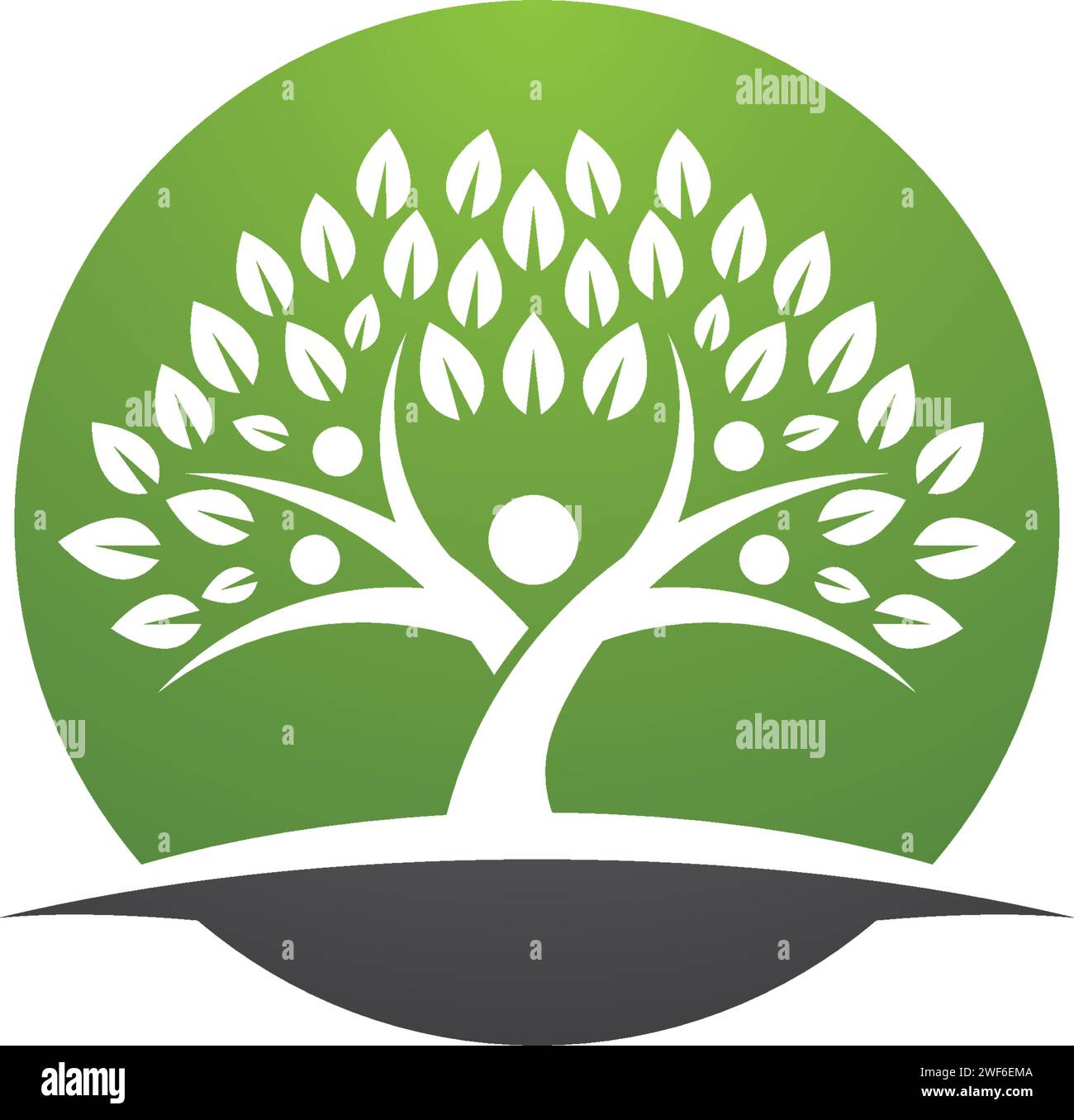 family tree symbol icon logo design template illustration Stock Vector Image & Art - Alamy