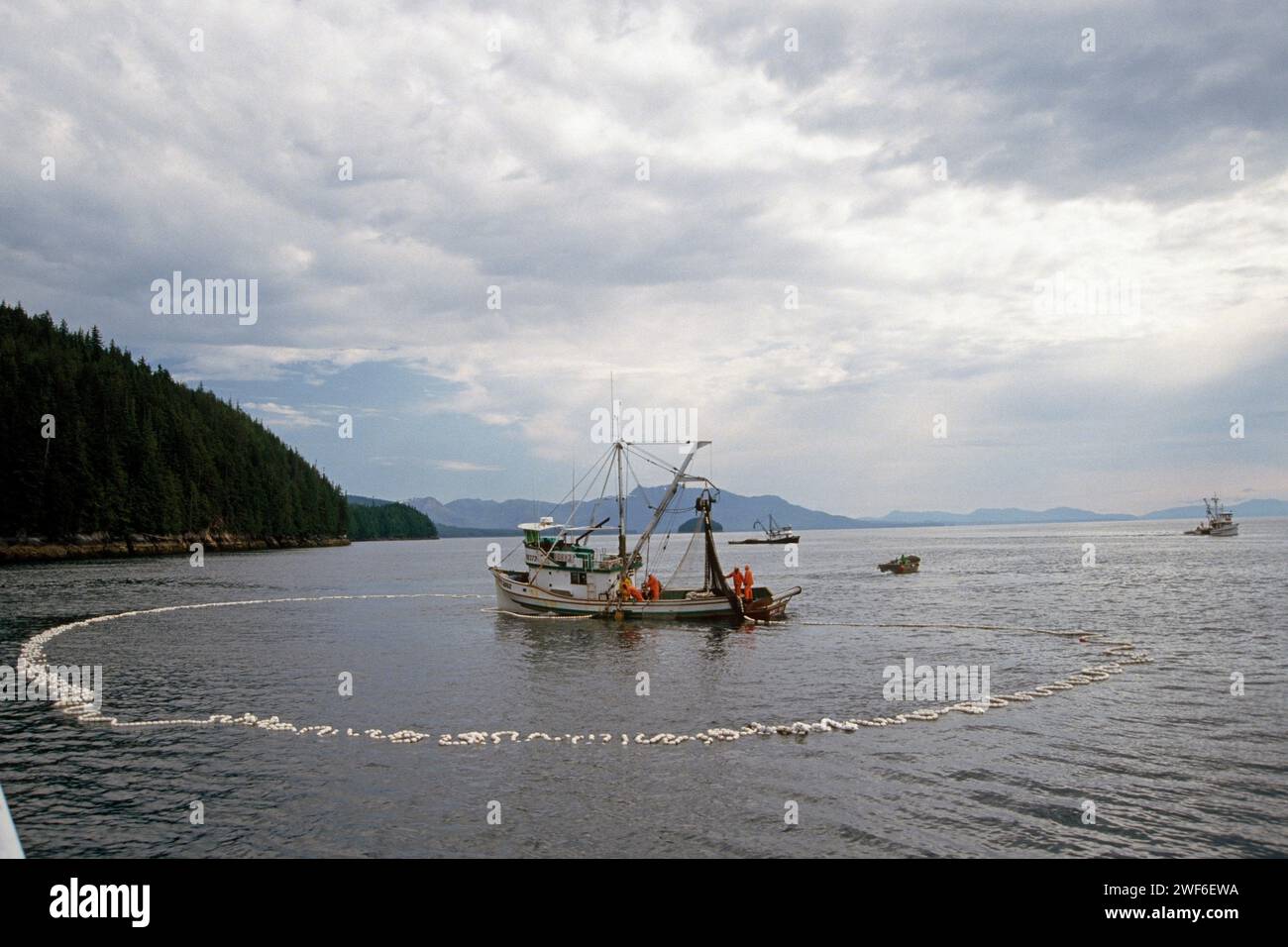 commercial fishing vessel fishing for pink salmon, Oncorhynchus ...