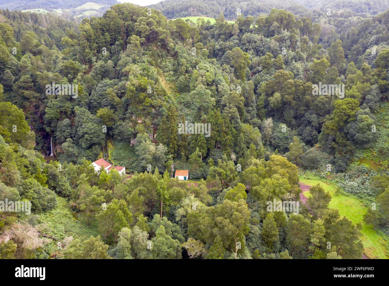 tiny houses in a forest on the island of São Miguel (Azores, Portugal ...