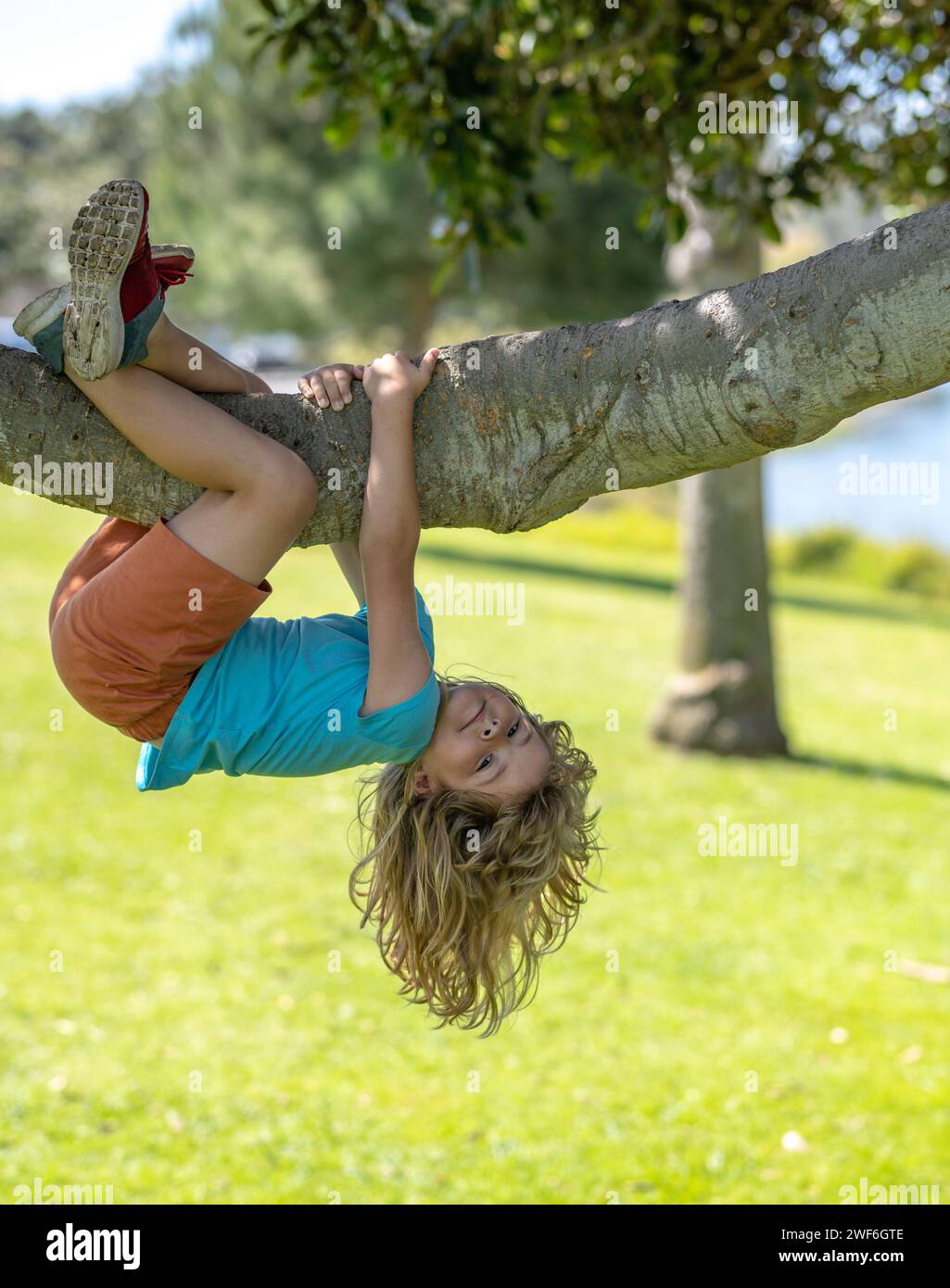 Kid climbing on a tree branch outdoor Stock Photo - Alamy