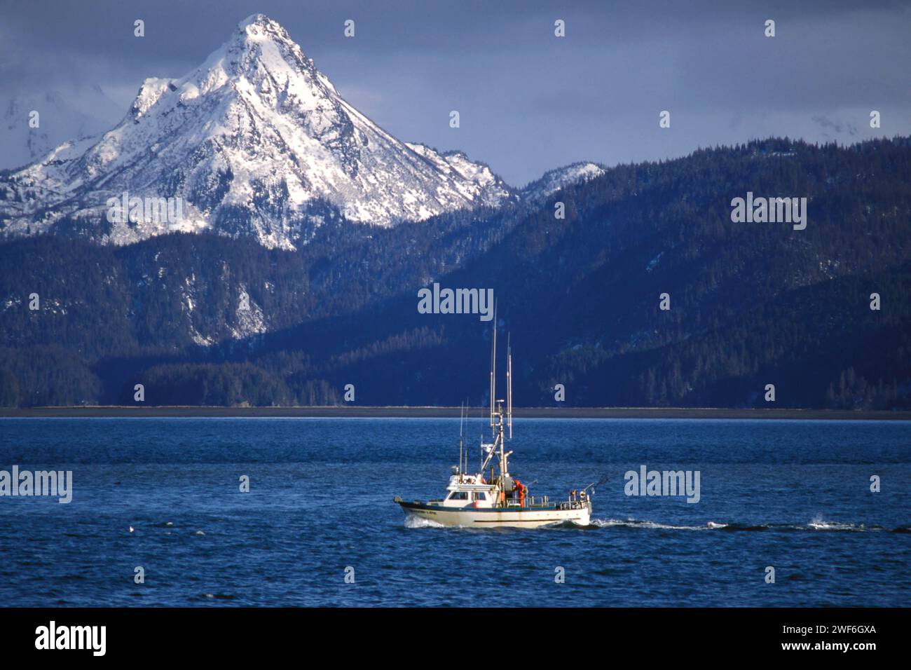 commerical fishing vessel coming into the Homer boat harbor, Homer ...