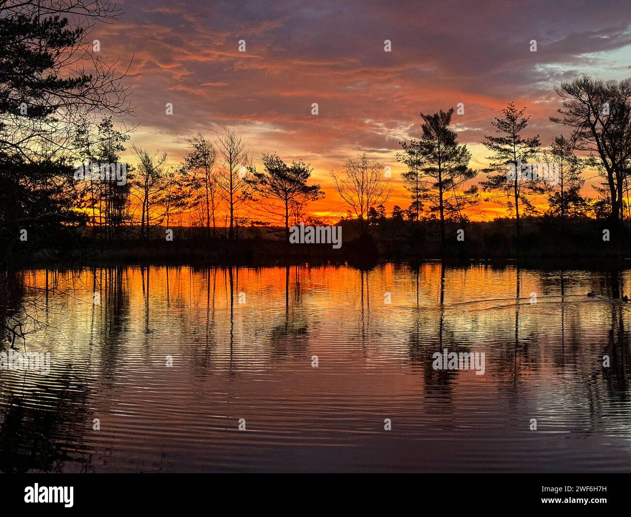 28th january 2024 hi-res stock photography and images - Alamy