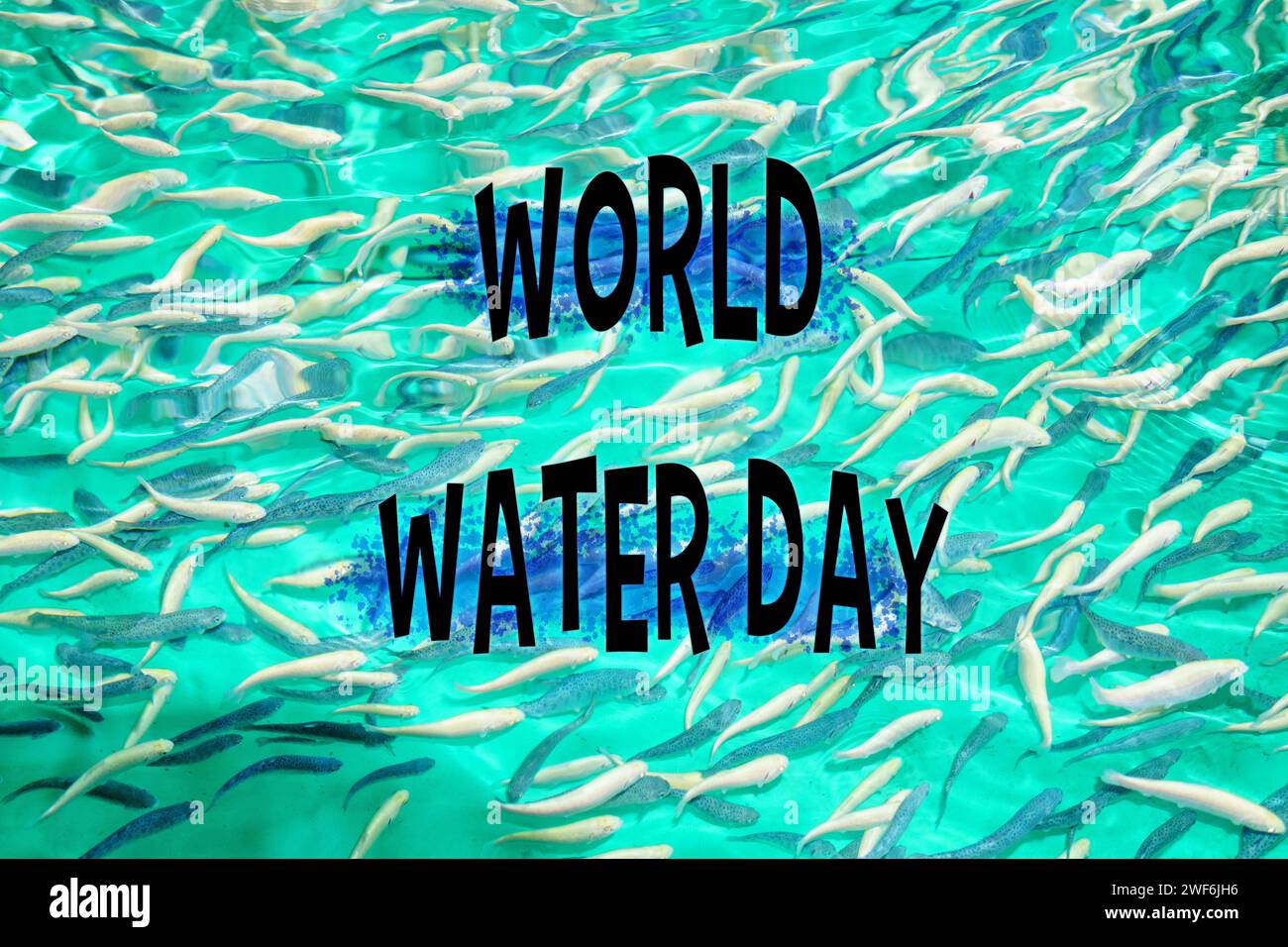 World Water Day With Dewdrops on a Blue Surface, Emphasizing Hydration ...