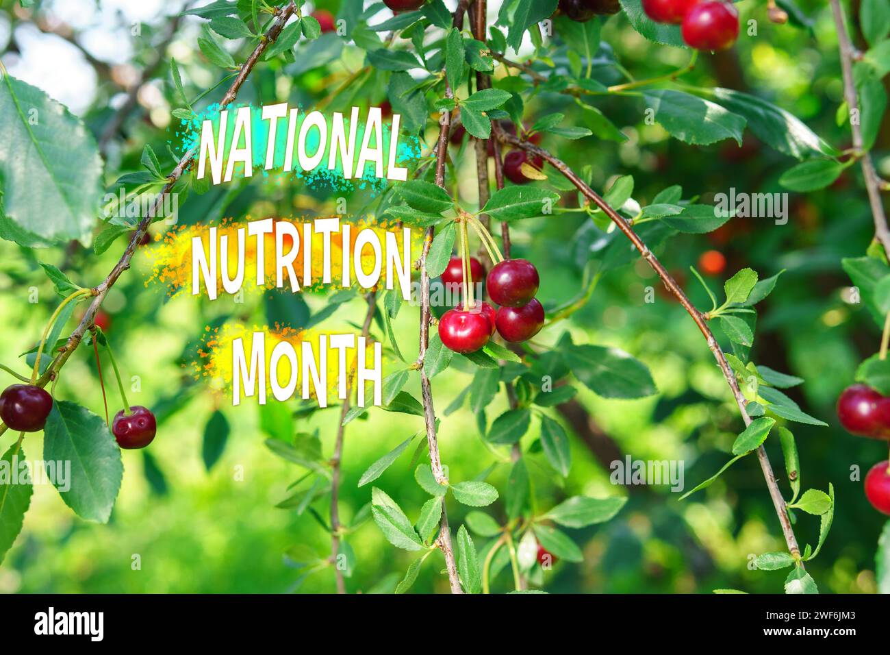 National Nutrition Month overlay an image of rich, red berries hanging ...