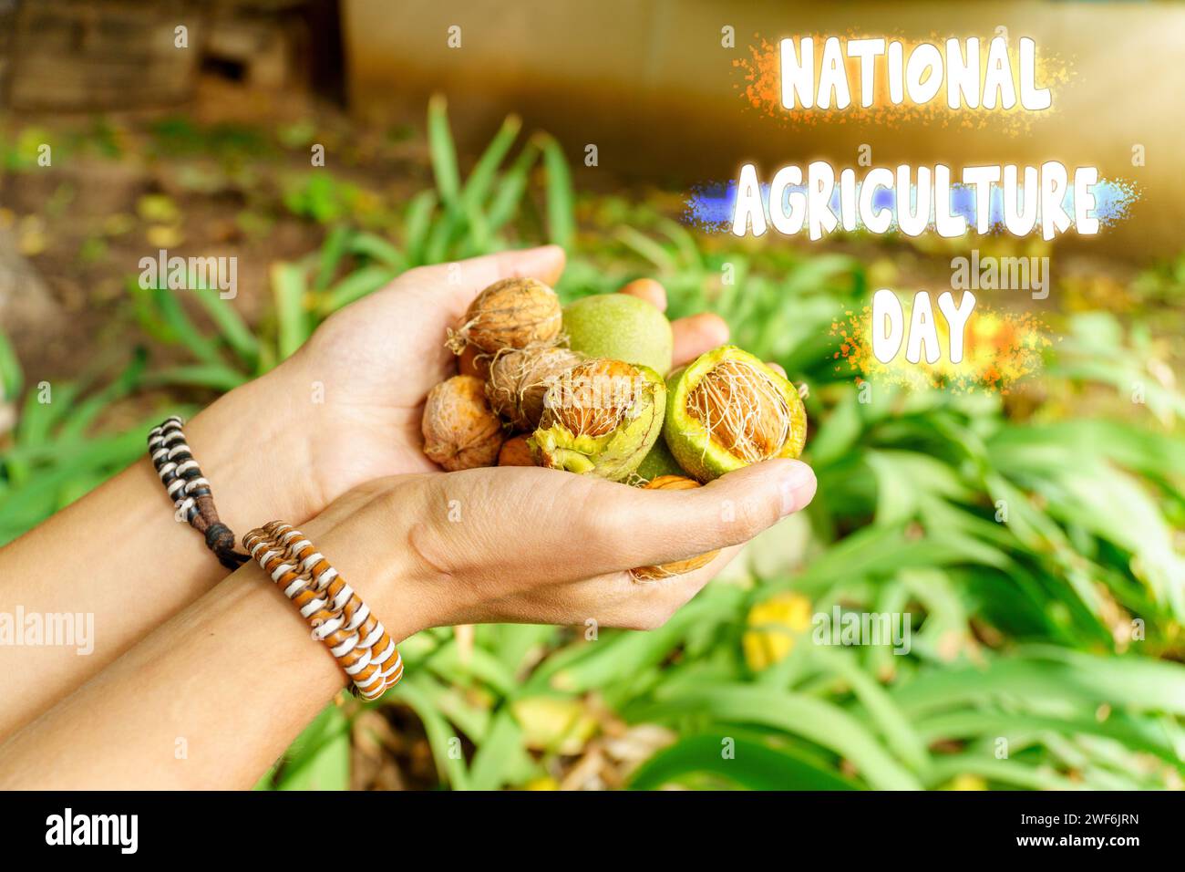 Celebrating National Agriculture Day With the Bounty of Natures Harvest ...