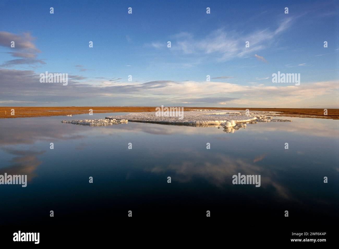 spring breakup on the 1002 coastal plain of the Arctic National ...