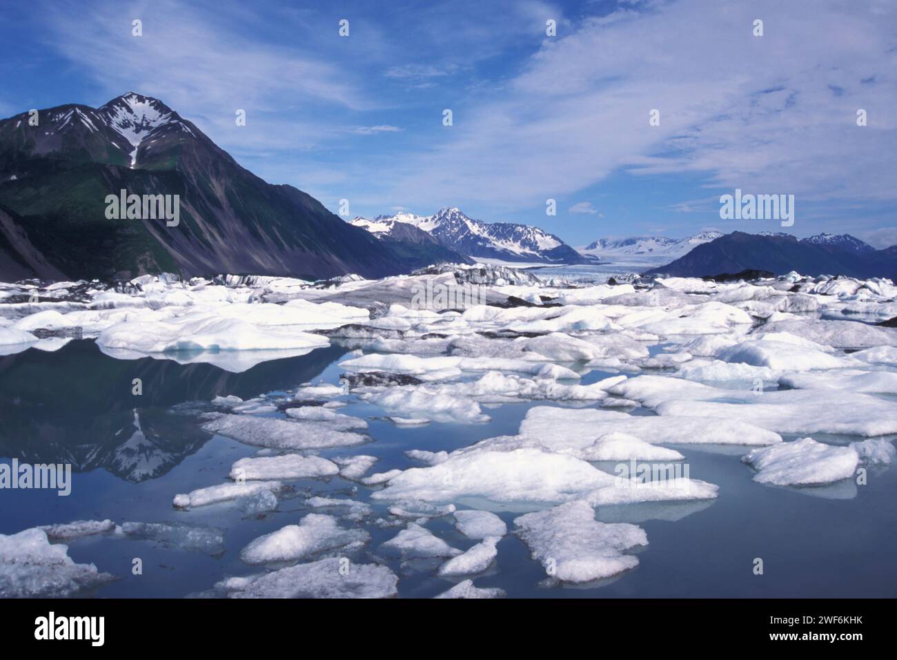 Bear Glacier and Bear Glacier Lake with floating icebergs and ice floes ...