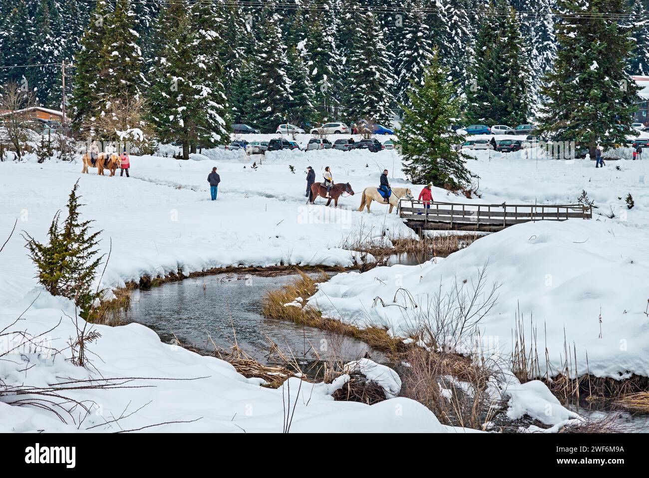 Horseback riding at the Ski Center of Pertouli, Pyli, Trikala, Thessaly ...