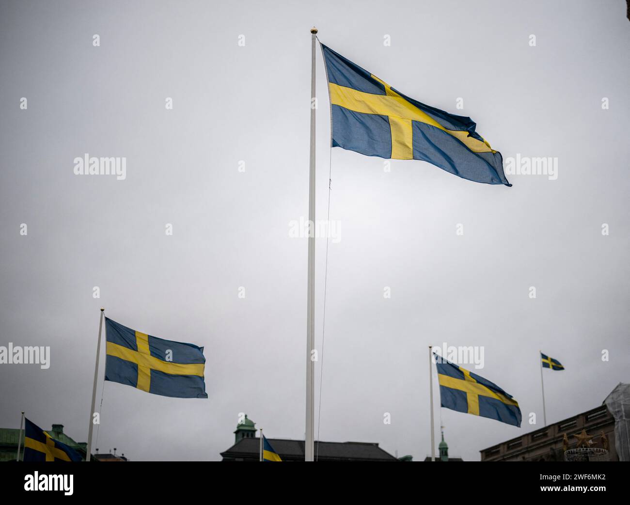 This photo shows the Swedish and European flags in front of the Swedish ...