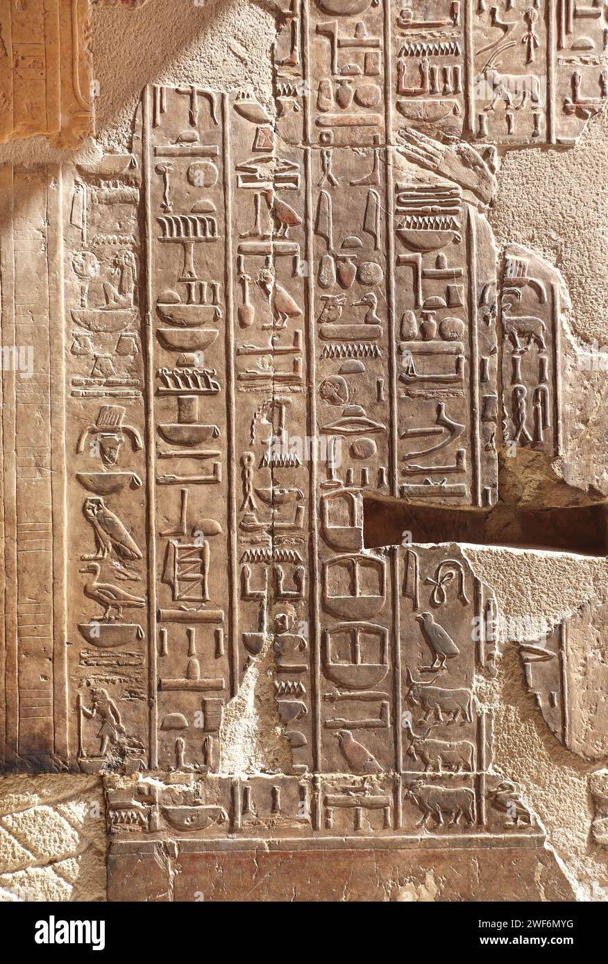 Ancient Egyptian hieroglyphs on stone wall inside Hatshepsut Temple in ...