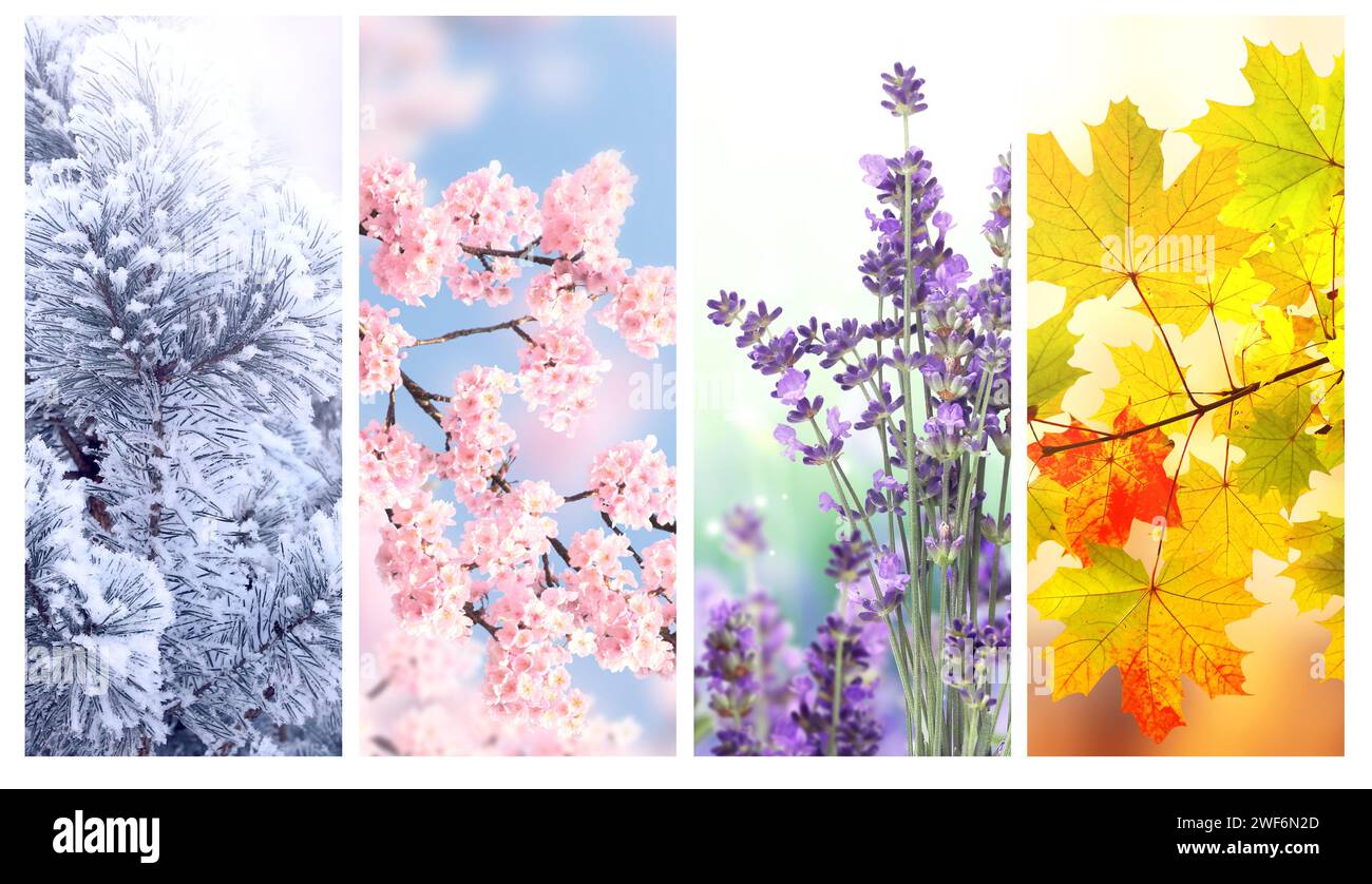Four seasons of year. Set of vertical nature banners with winter ...