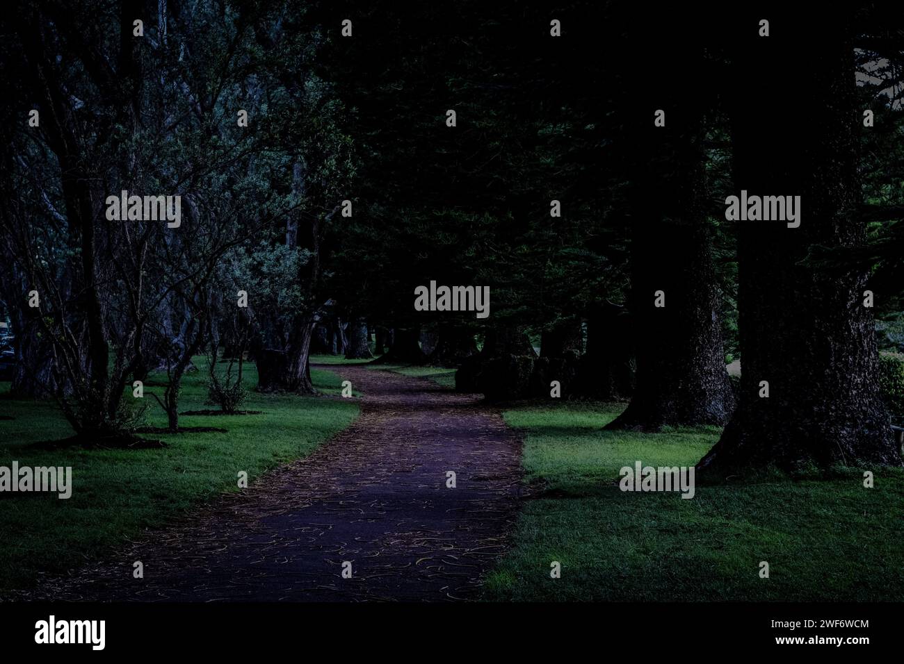 Cornwall Park in the Dark Stock Photo - Alamy