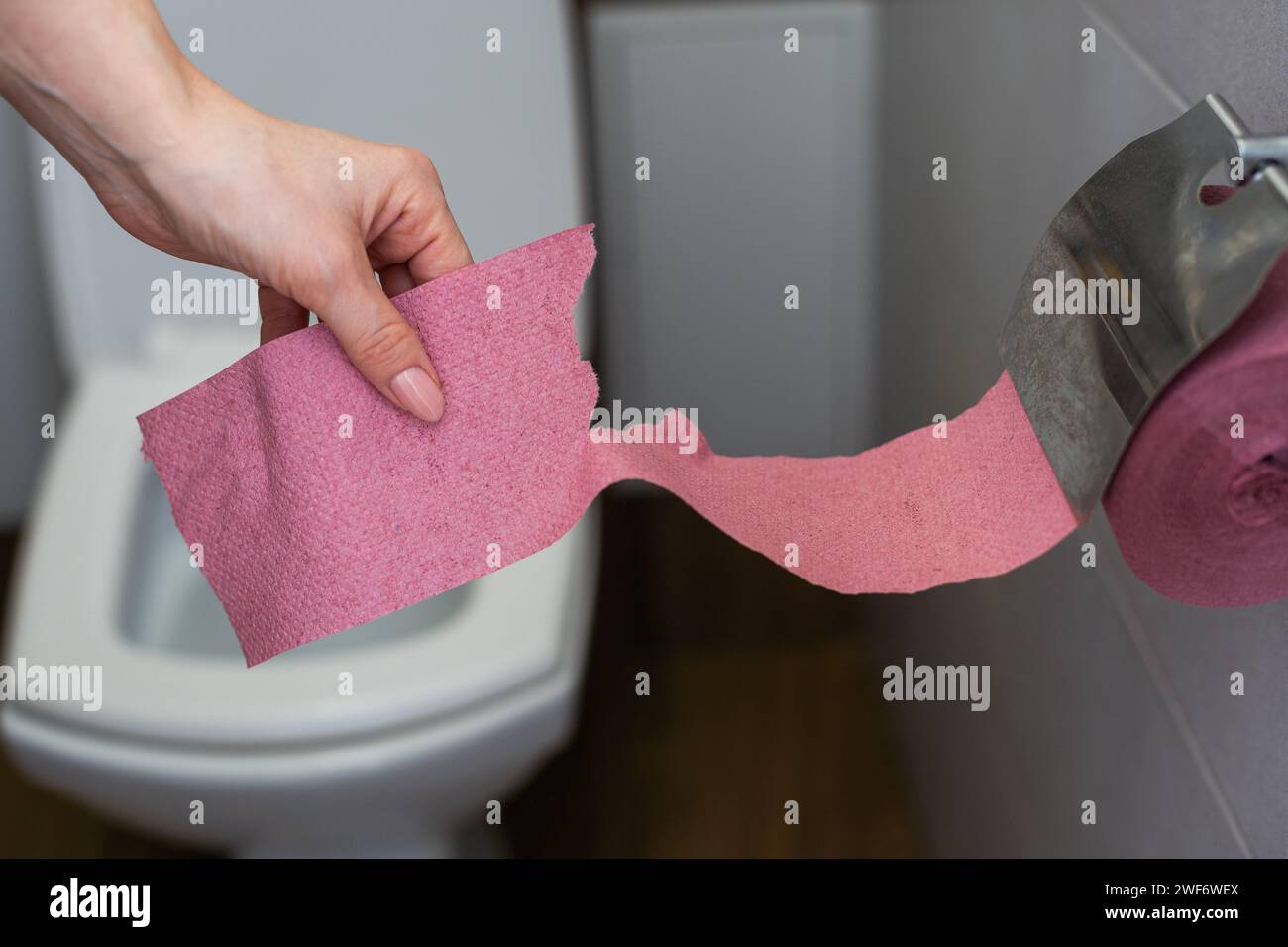 A female hand, woman holding a roll of pink toilet paper, digestive ...