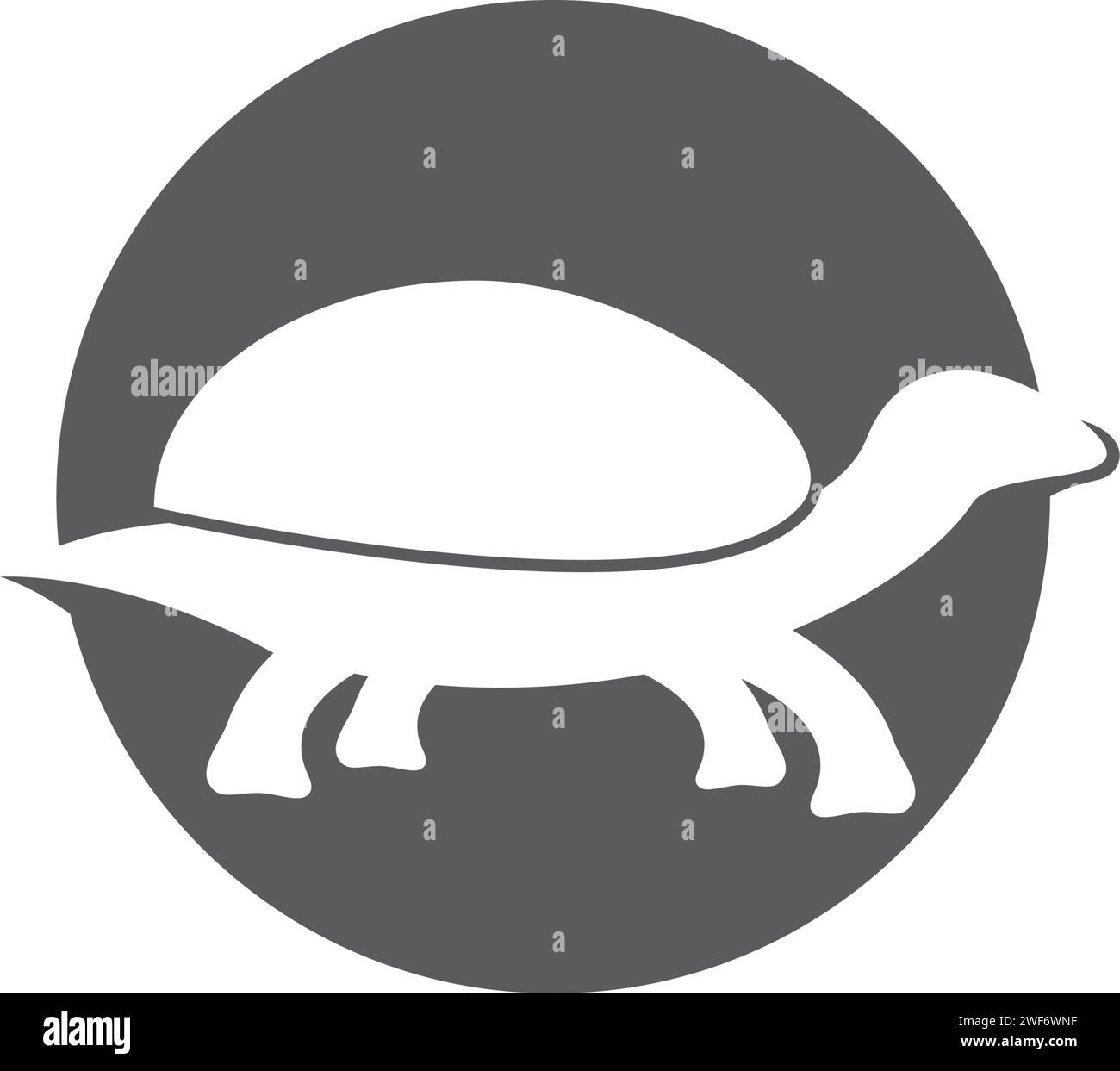 Turtle animal cartoon icon image vector illustration design Stock ...