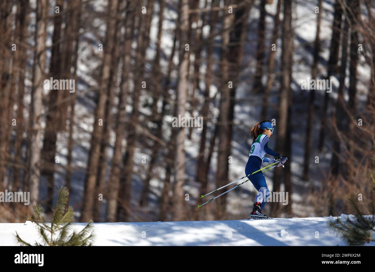 Pyeongchang, South Korea. 29th Jan, 2024. Tsai Chiao-Wei of Chinese ...