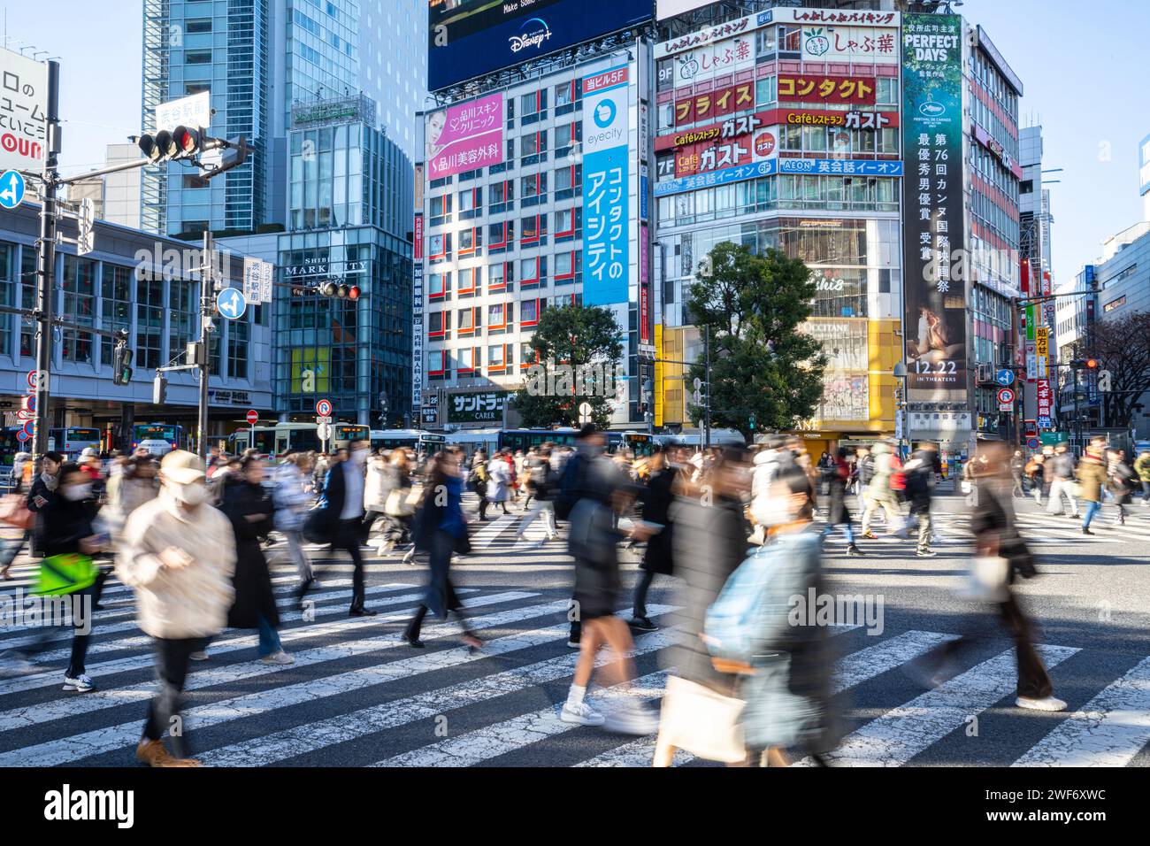 Tokyo, Japan. January 9, 2024. crowd at the Shibuya Scramble Crossing ...