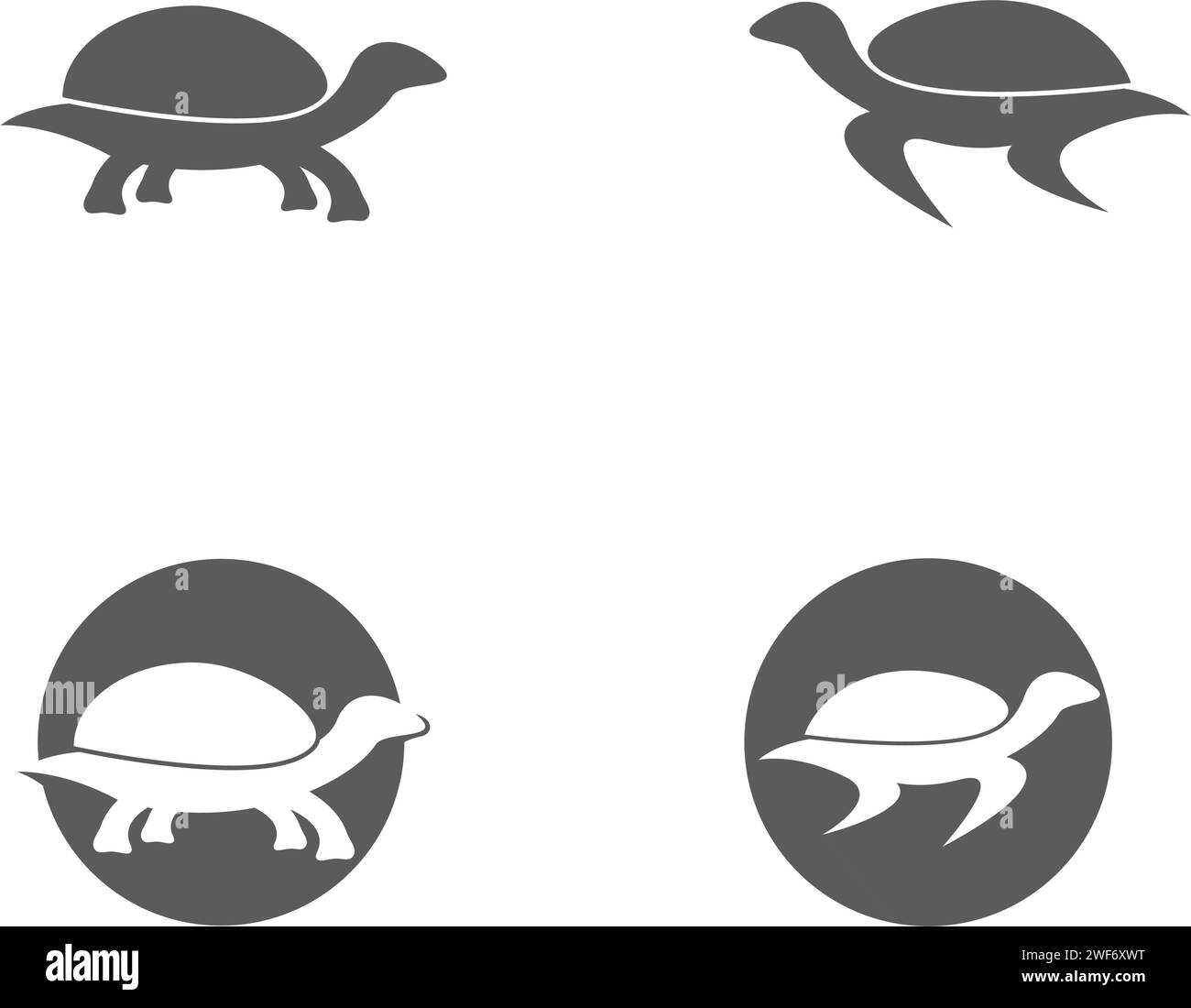 Seaturtle Stock Vector Images - Alamy