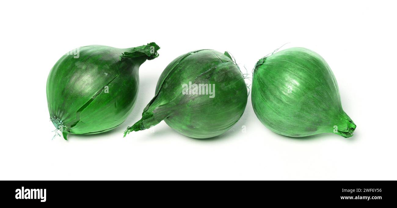 Weird green onions, isolated on a white background Stock Photo - Alamy