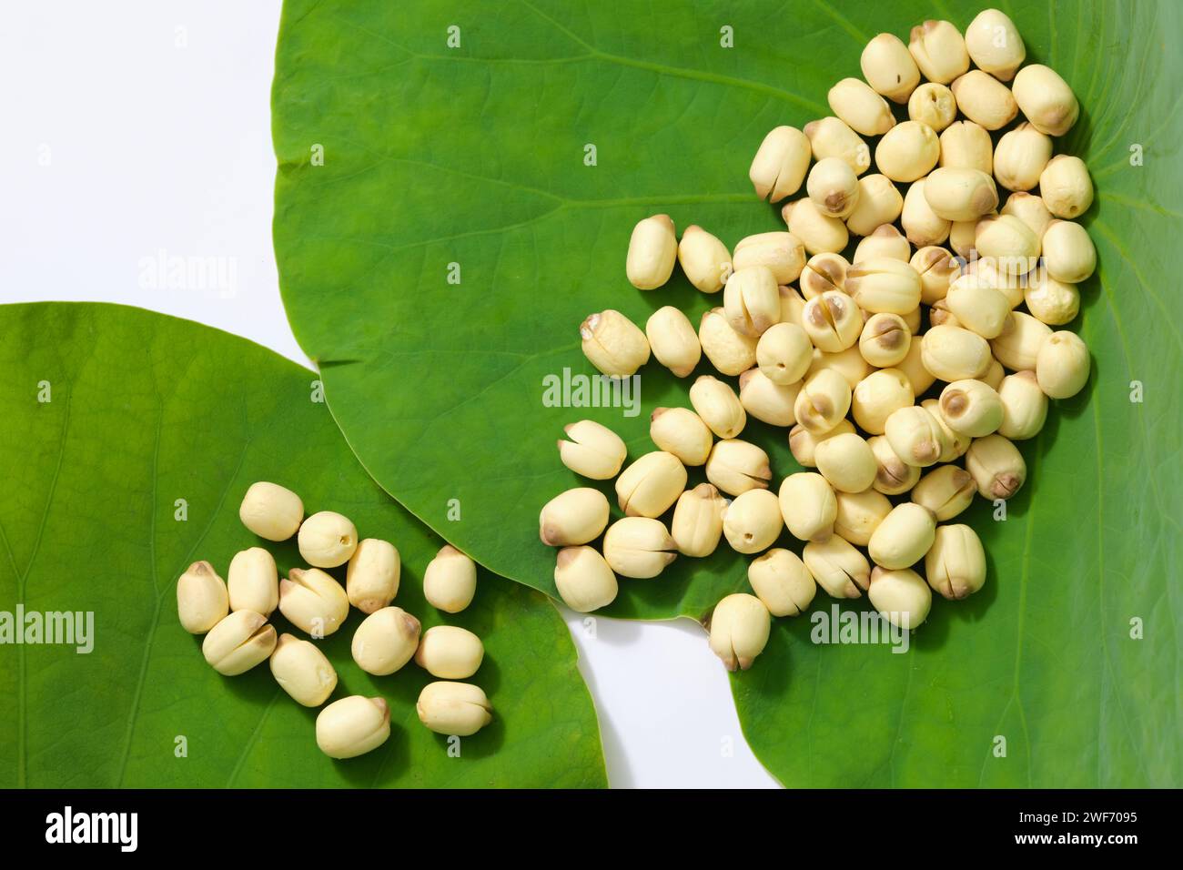 Product contains lotus seed hi-res stock photography and images - Alamy