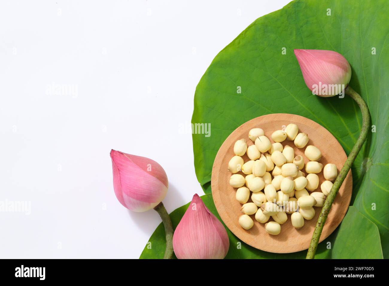 Lotus buds, green leaves and lotus seeds on white background. Blank ...