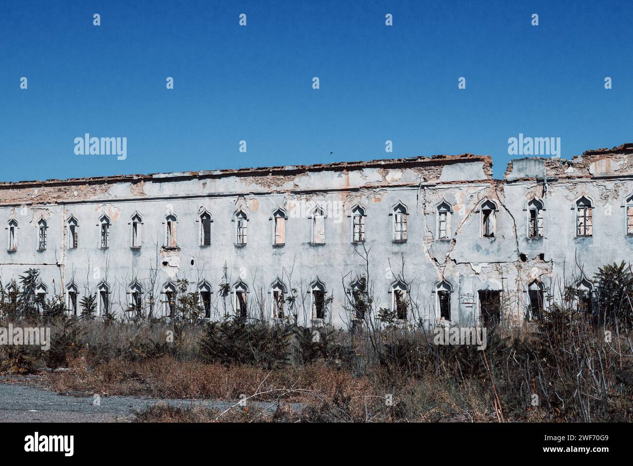 Destroyed and abandoned white messy building in groves Stock Photo - Alamy