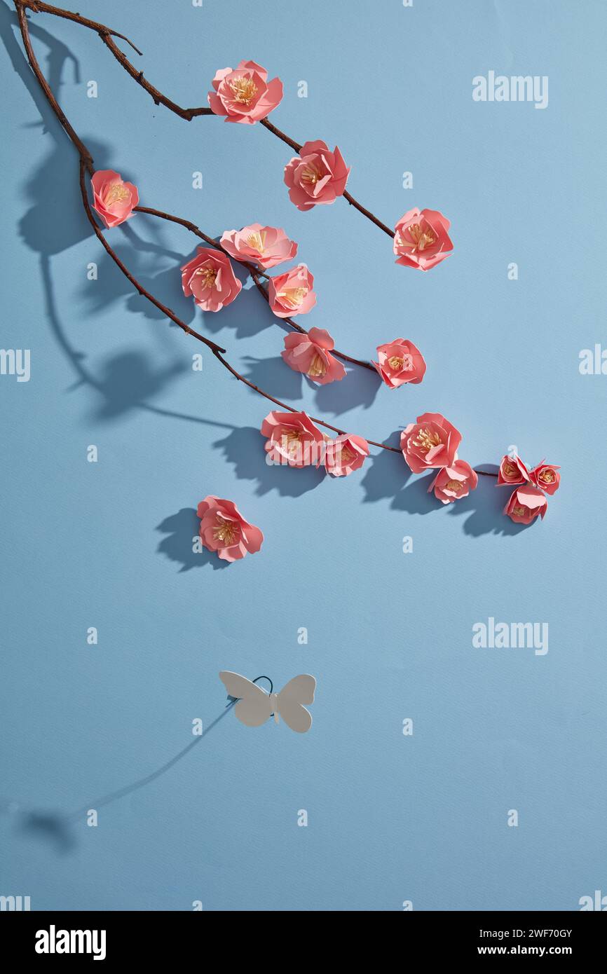 Traditional tet flowers hi-res stock photography and images - Alamy