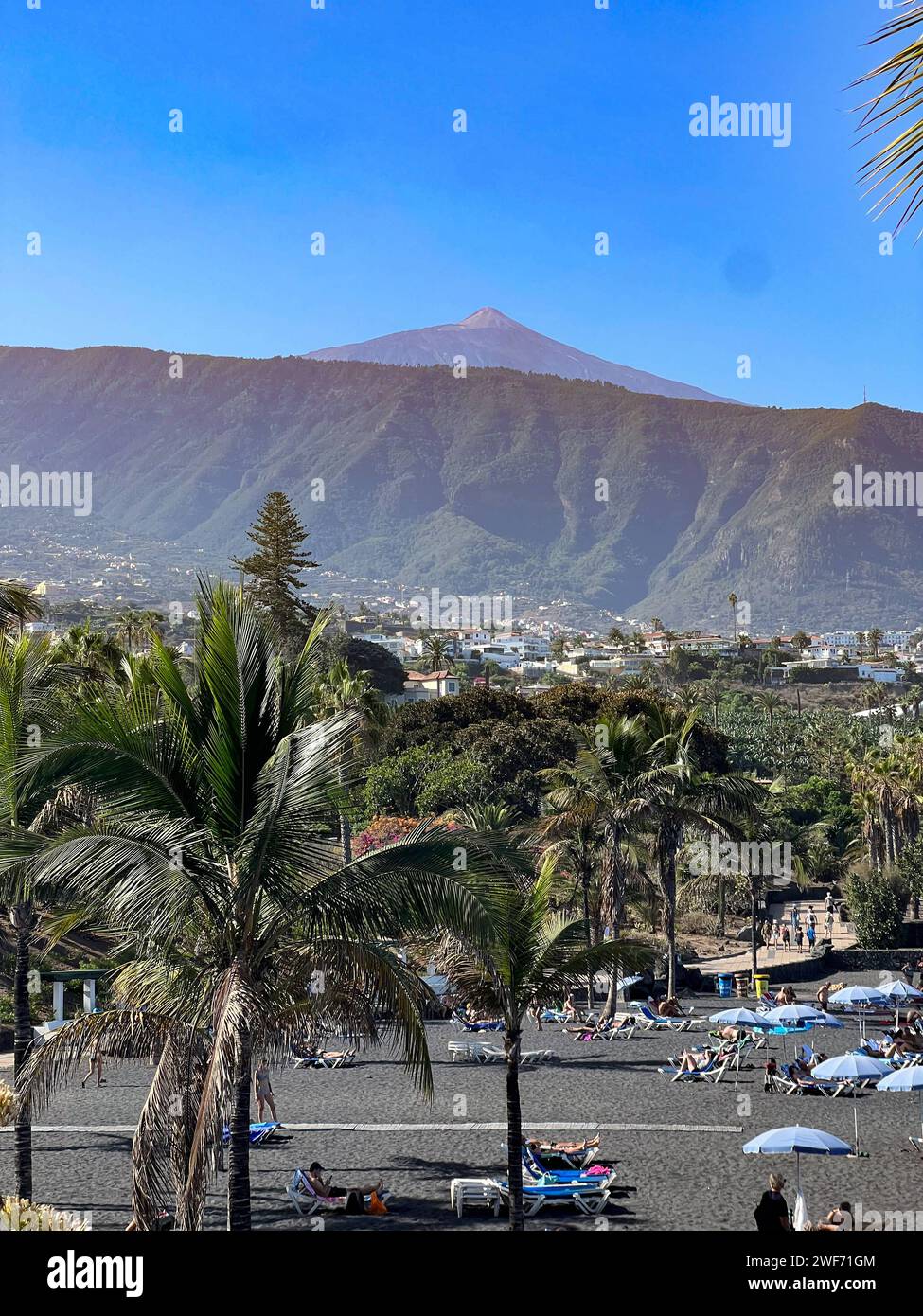 Spanien Kanarische Insel,Teneriffa, Impressionen einer Insel, Urlaub ...