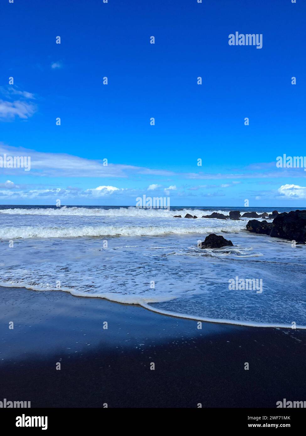 Spanien Kanarische Insel,Teneriffa, Impressionen einer Insel, Urlaub ...