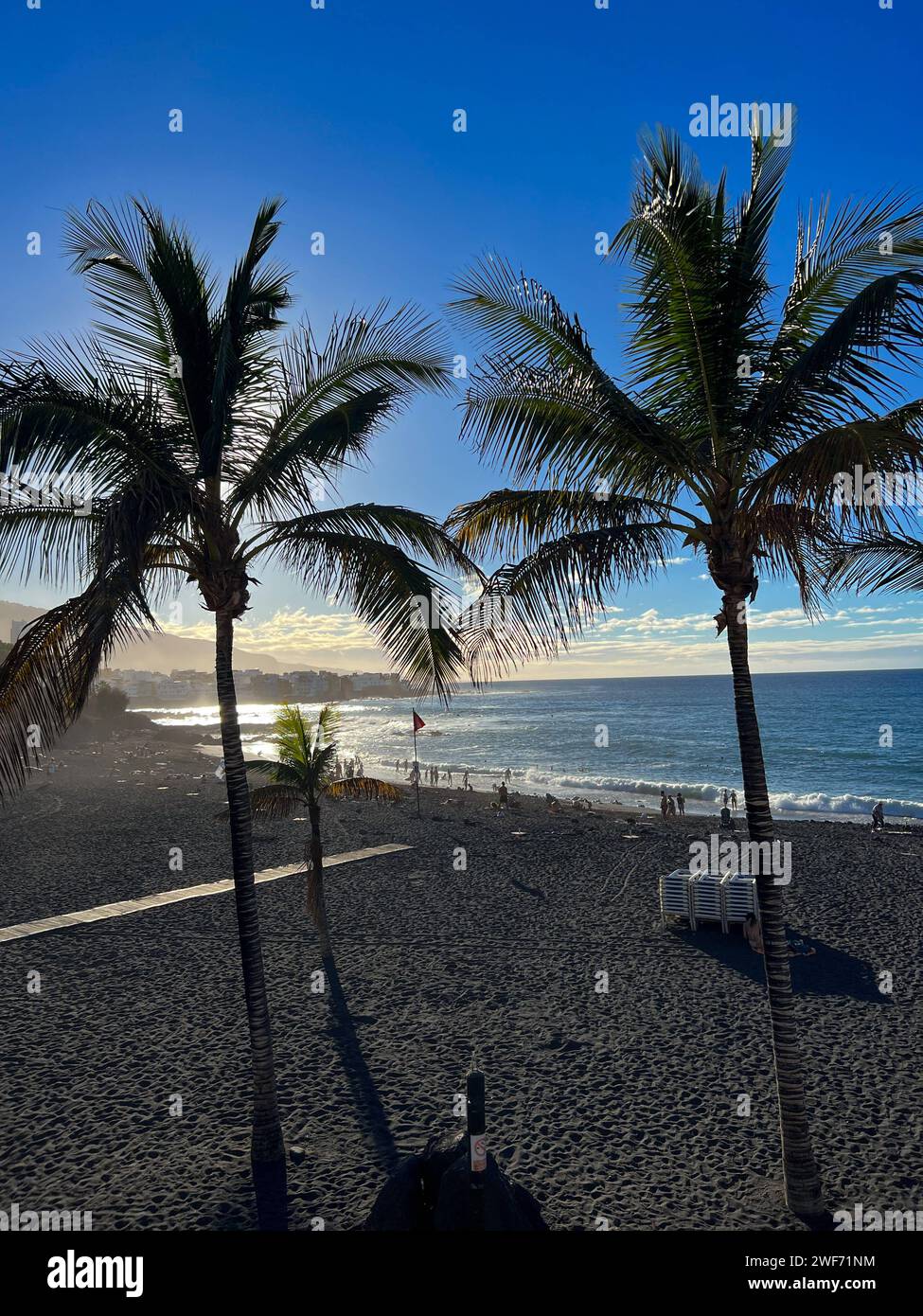 Spanien Kanarische Insel,Teneriffa, Impressionen einer Insel, Urlaub ...