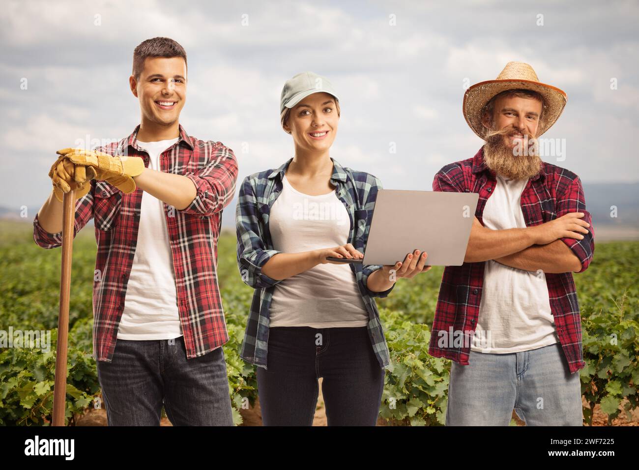 Group of farmers standing on a vineyard with a laptop computer, new ...