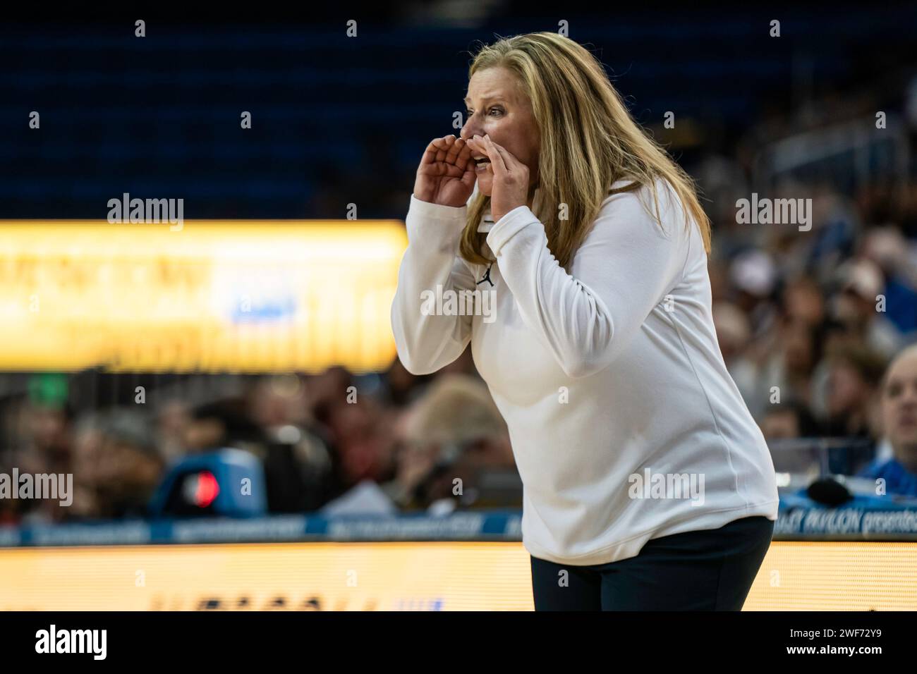 UCLA Bruins head coach Cori Close during a NCAA women’s basketball game ...