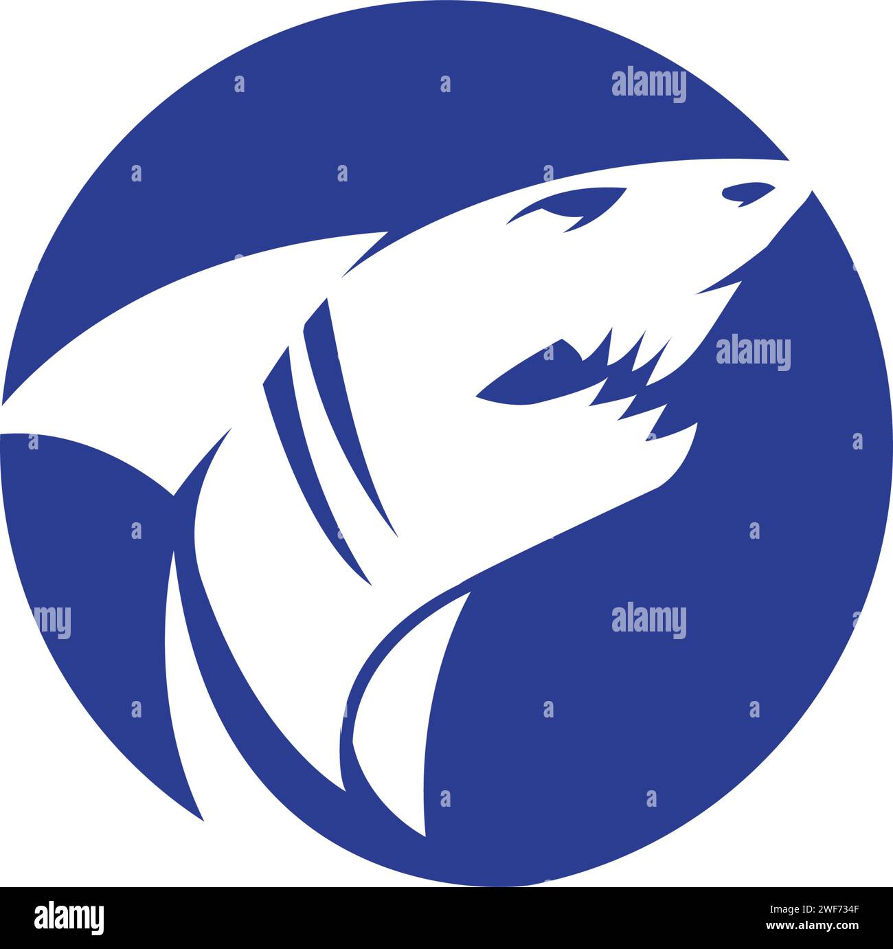 Shark illustration Logo Template Vector Stock Vector Image & Art - Alamy