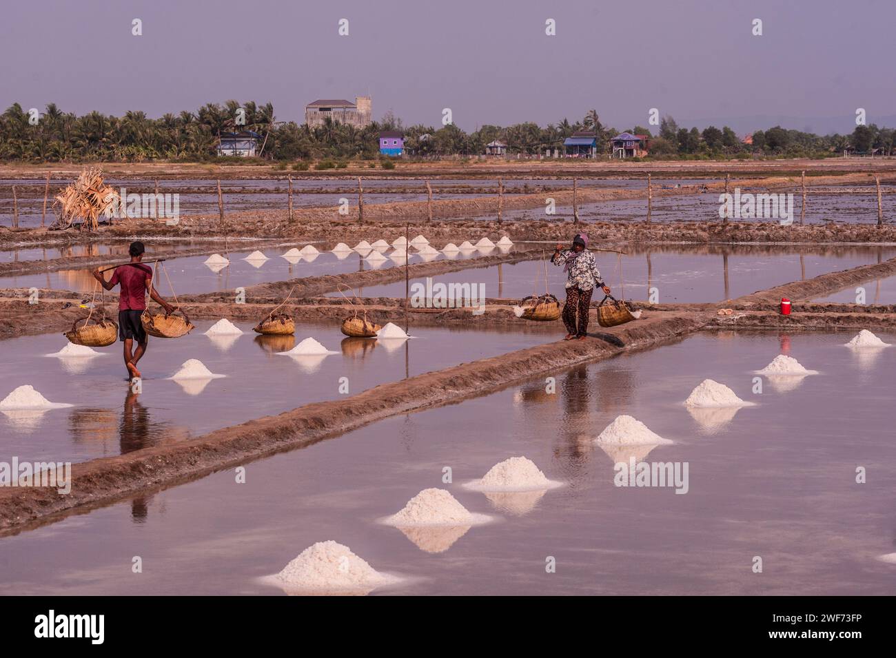 Salt field workers carry rattan baskets laden w/ harvested salt in the ...