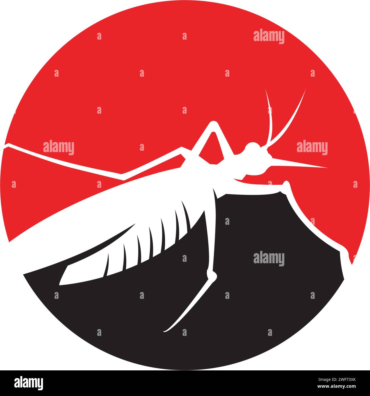 Insect mosquito icon Template vector illustration Stock Vector Image ...