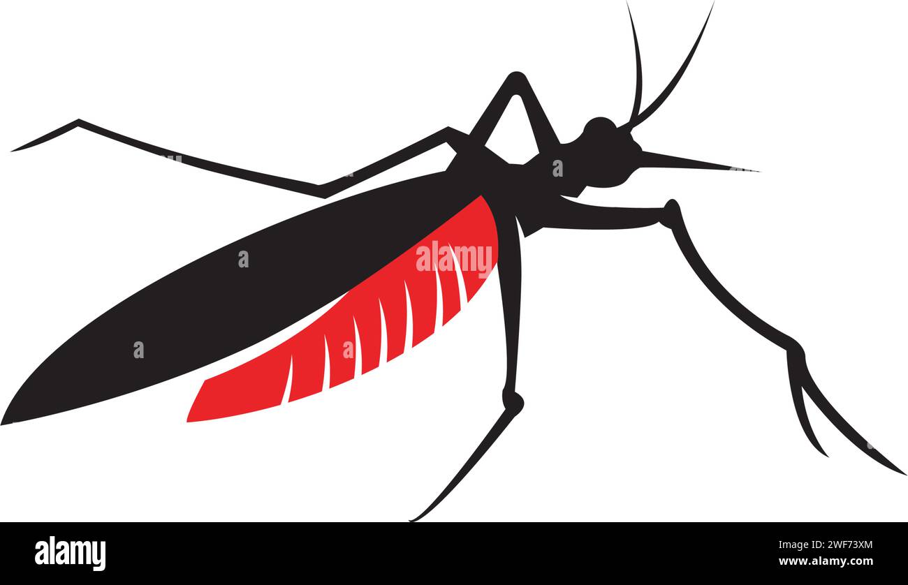 Mosquito vector vectors hi-res stock photography and images - Alamy