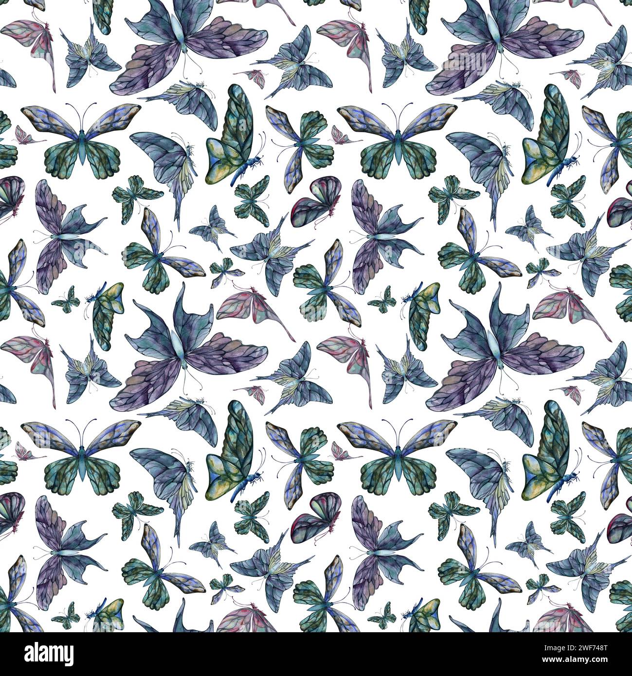 Hand drawn watercolor illustration butterfly fairy wings gem crystal ...