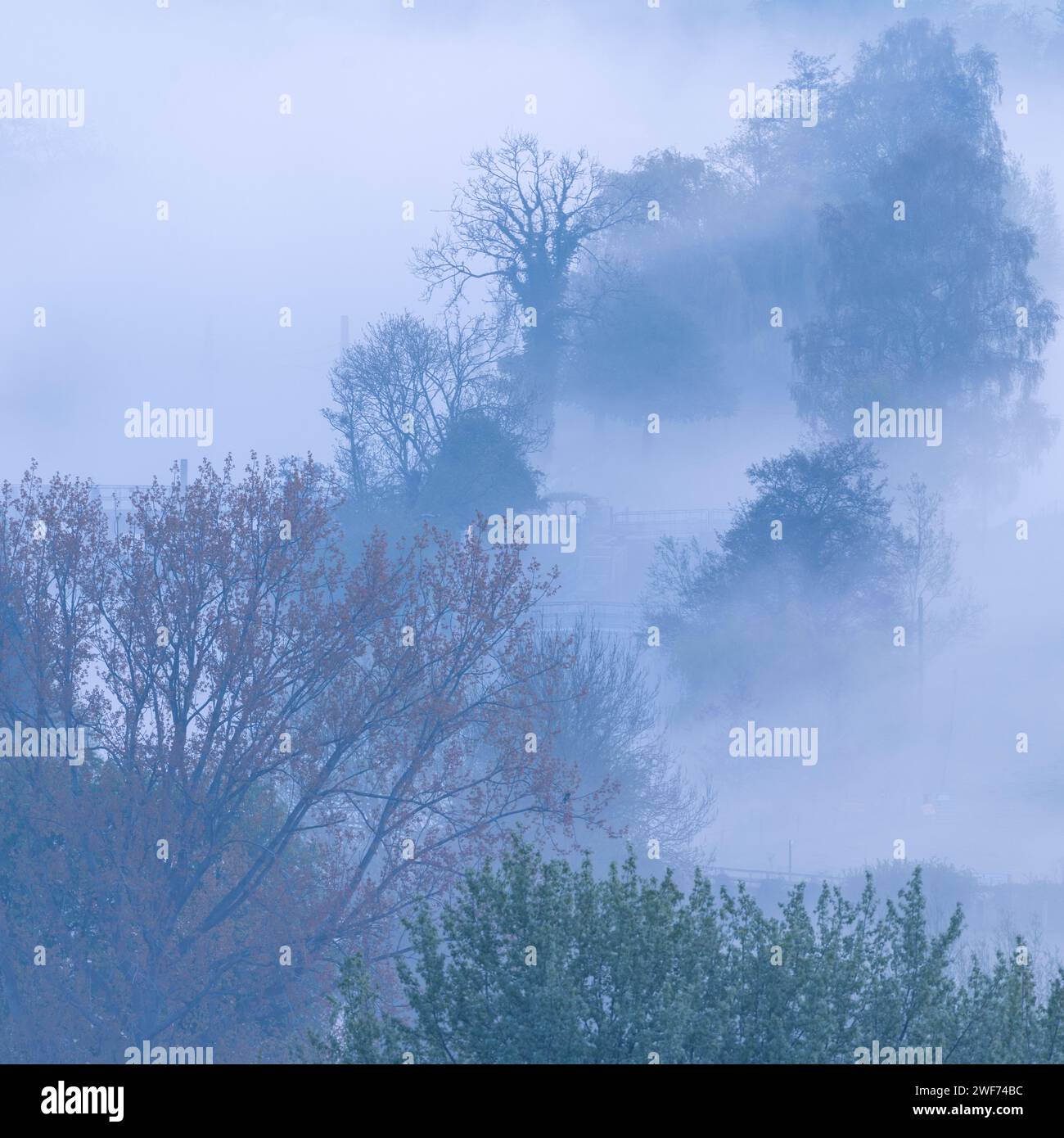 Misty view of river Thame from Wittenham Clumps Oxfordshire Stock Photo ...